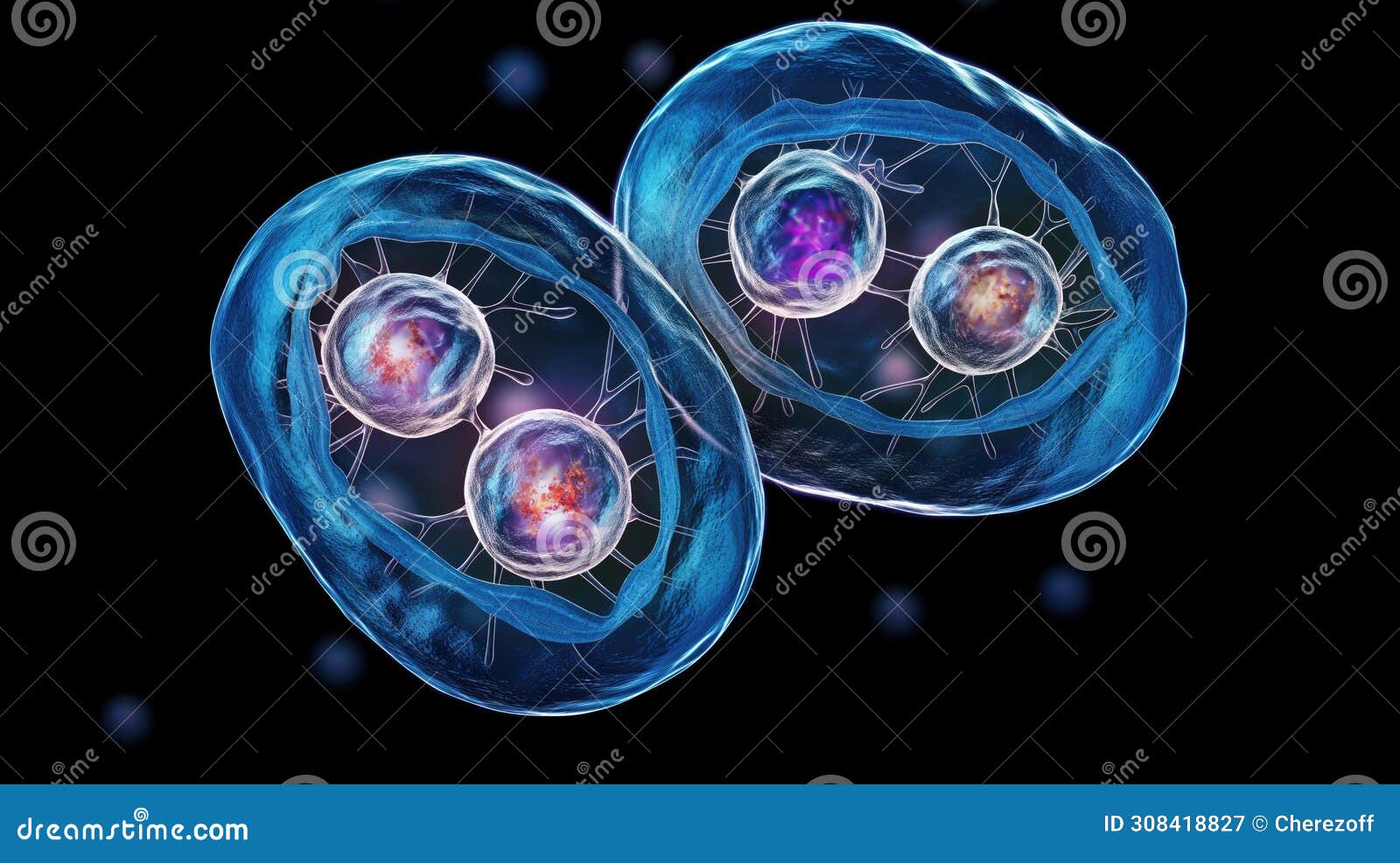 Cell Division Process, Micro Stock Image - Image of nucleus, black ...