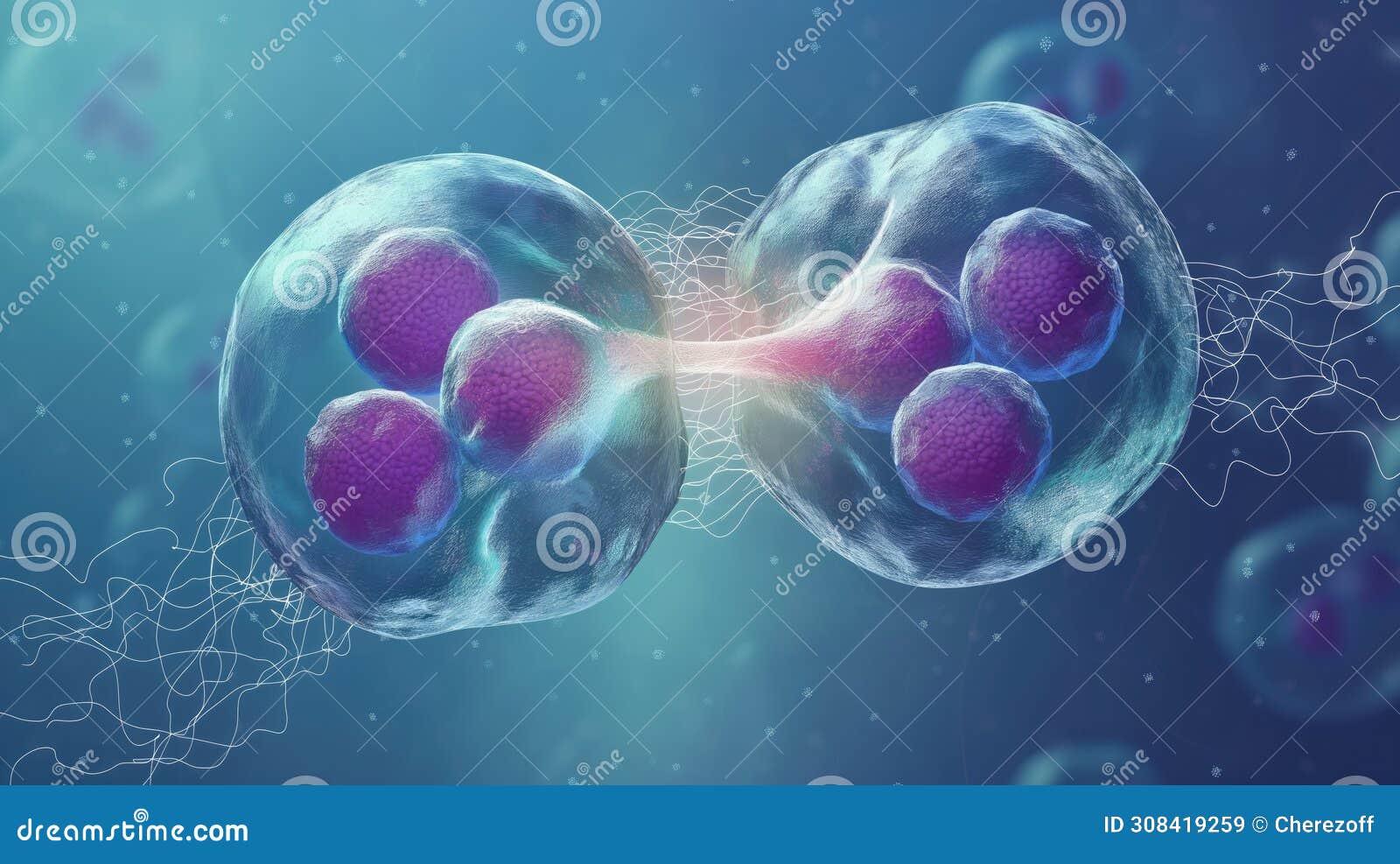 Cell Division Process, Micro Stock Image - Image of research, meiosis ...