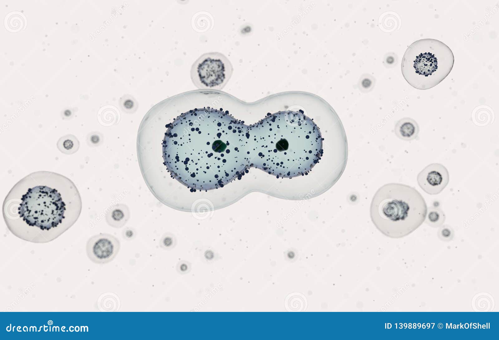 Cell Division, Scientific Medical Experiment Under Microscope, 3d ...