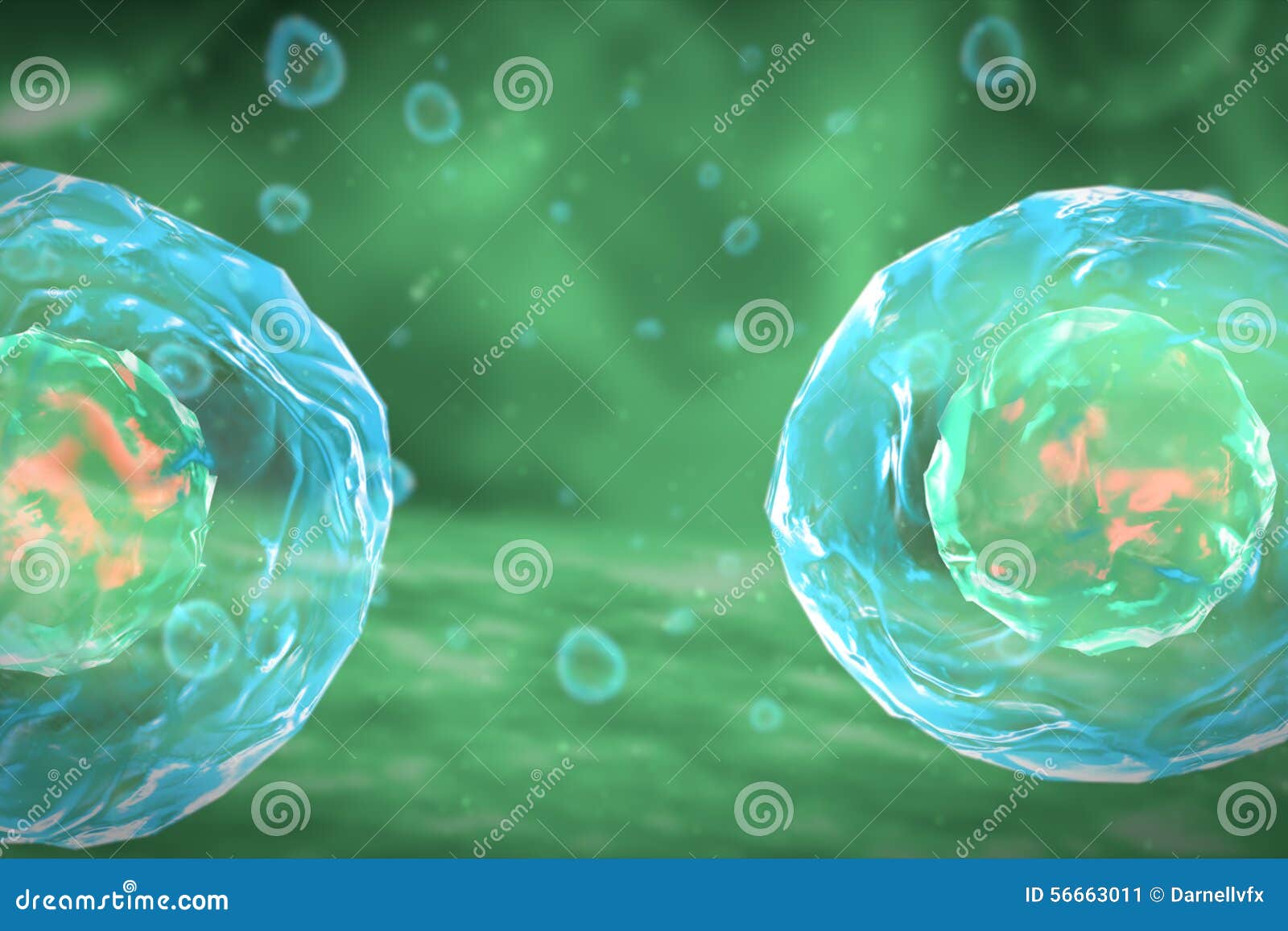 Cell Division Stages of Mitosis Stock Illustration - Illustration of ...