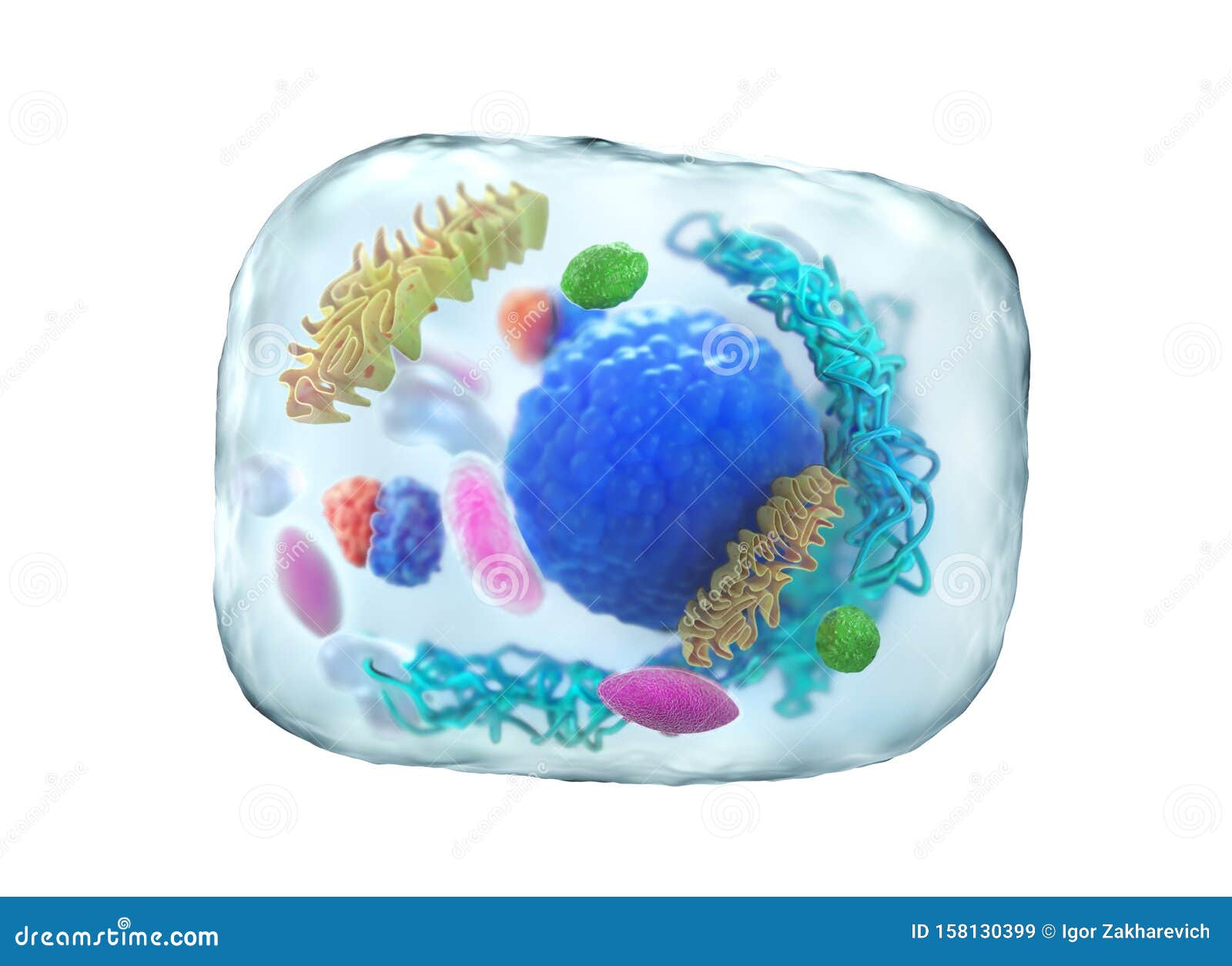 Cell Division Under the Microscope Isolated on a White. 3d Illustration ...
