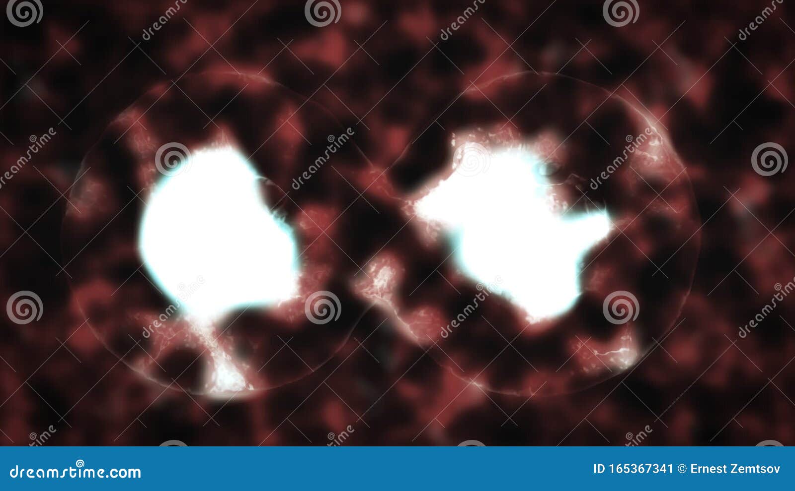 Cell Division Under the Microscope. Red Color. Stock Video - Video of ...