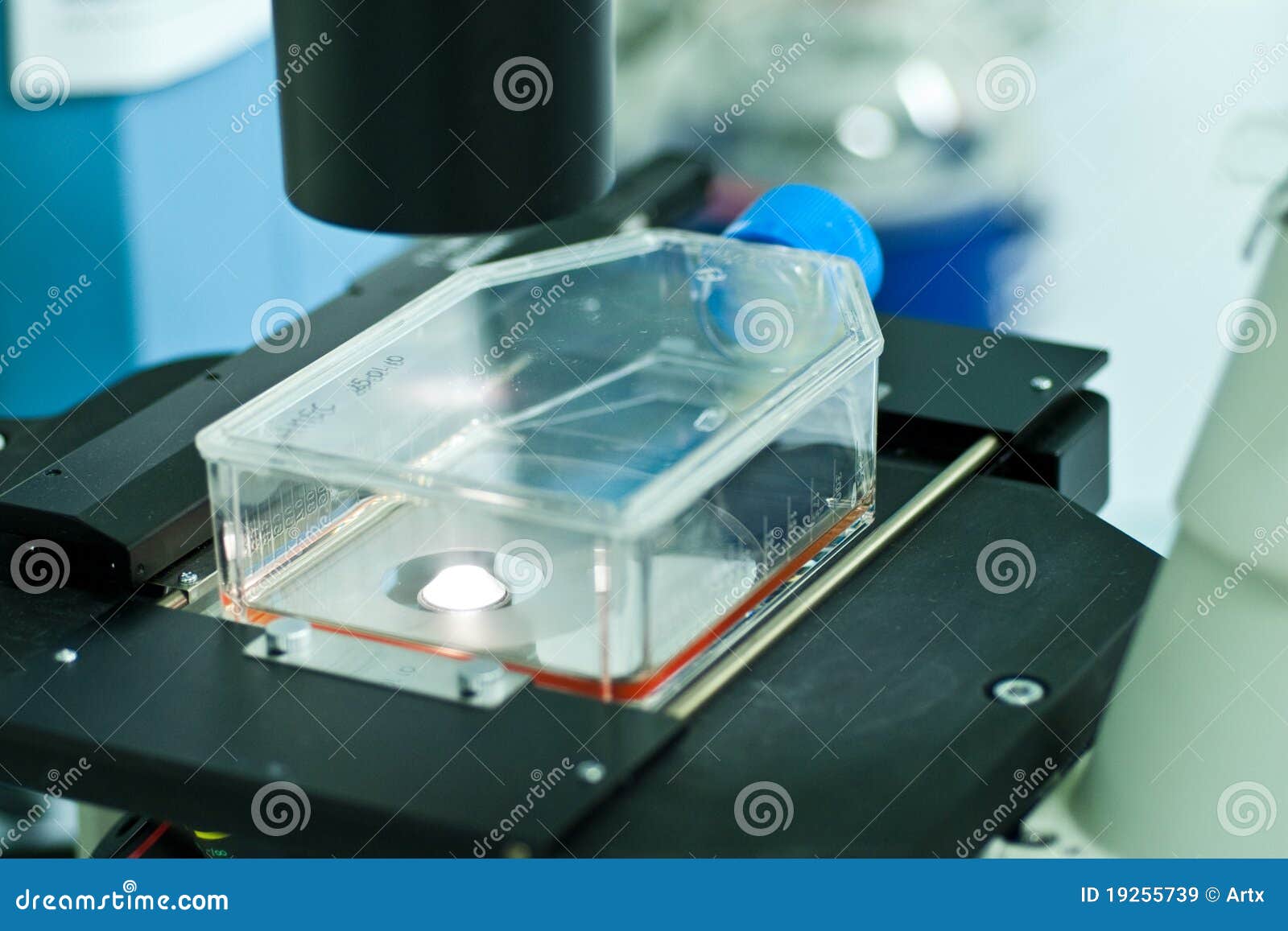 Cell Flask Under Microscope Stock Image - Image of education ...