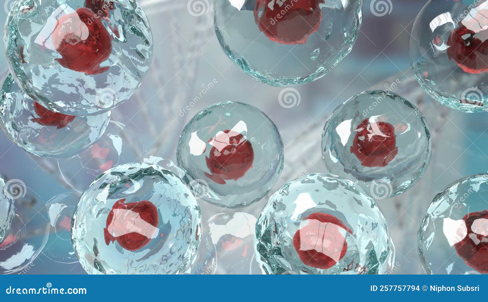 The Cell Image for Sci or Education Concept 3d Rendering Stock ...