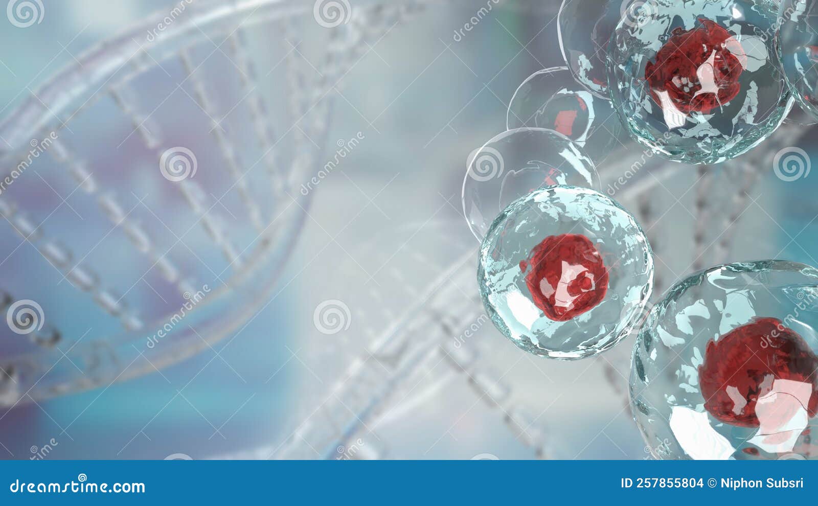 The Cell Image for Sci or Education Concept 3d Rendering Stock ...