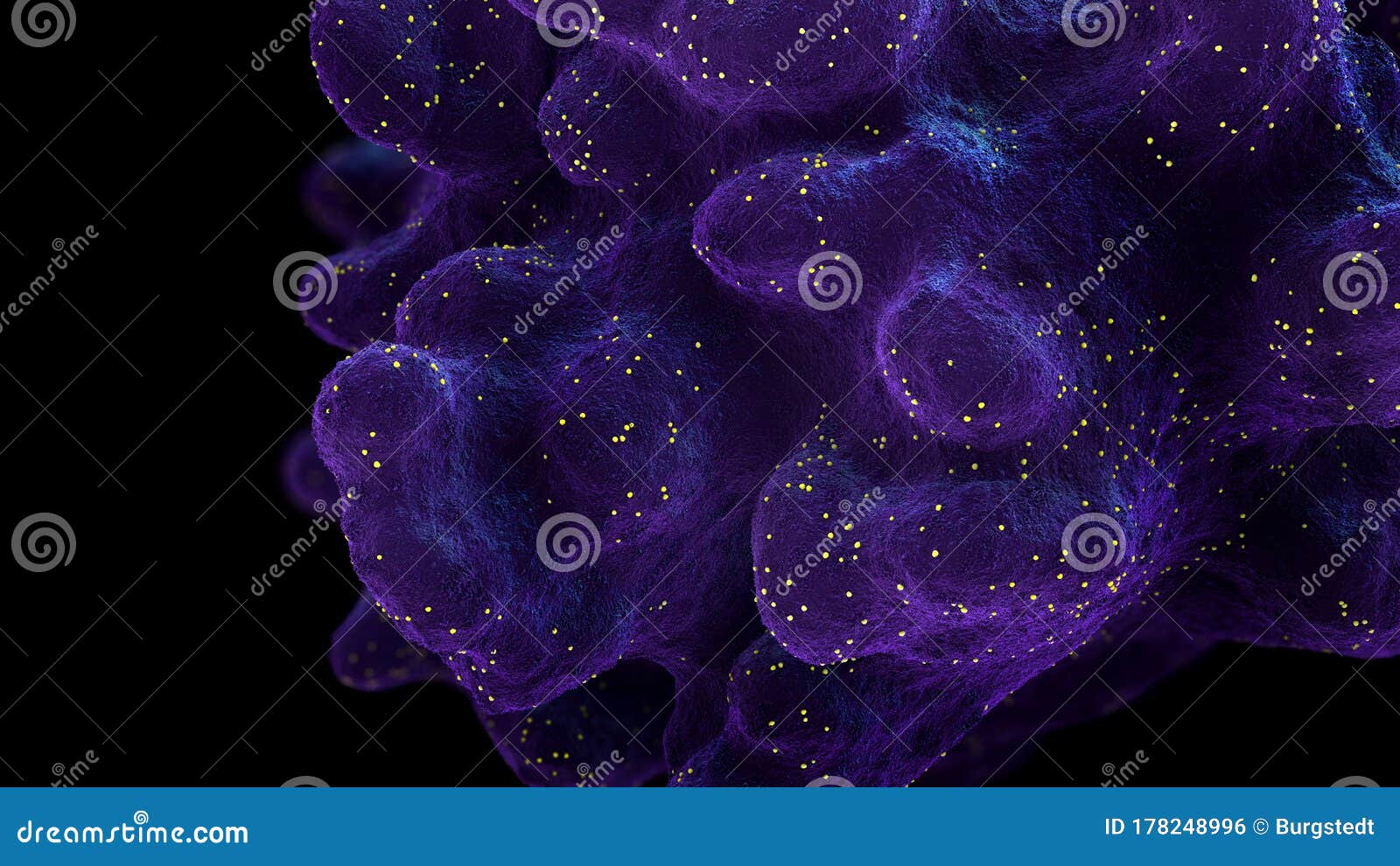 Cell Infected with Virus Particles Causing Cell Death Stock ...