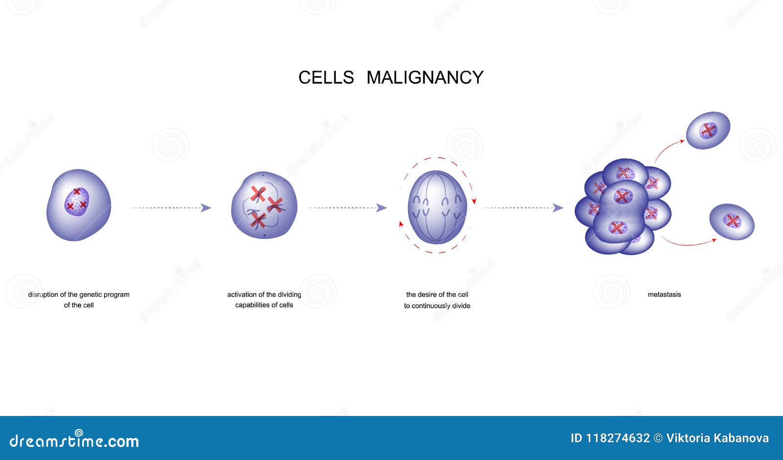Cell Malignancy Process Vector Illustration | CartoonDealer.com #118274632