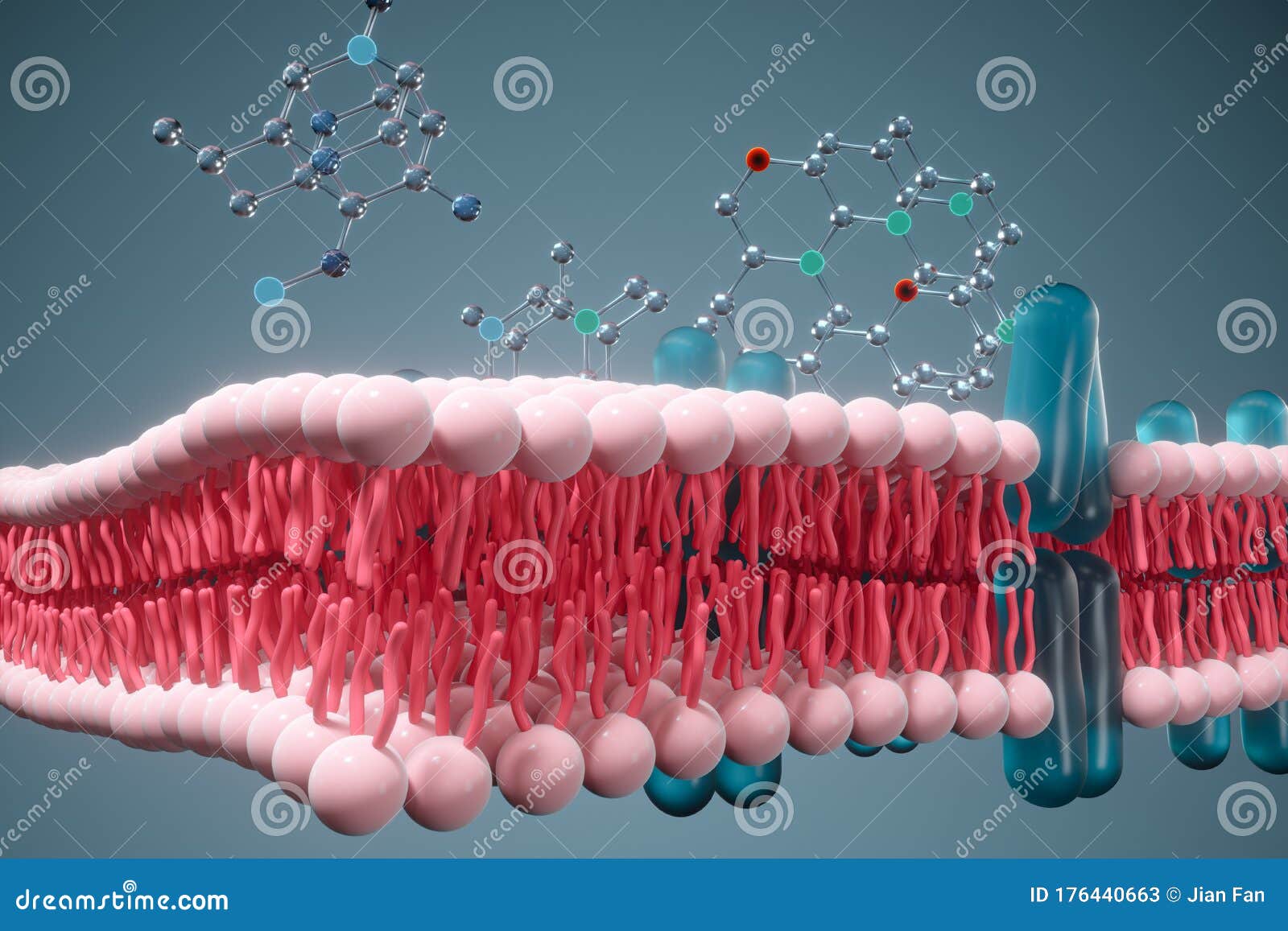 Cell Membrane and Biology, Biological Concept, 3d Rendering Stock ...