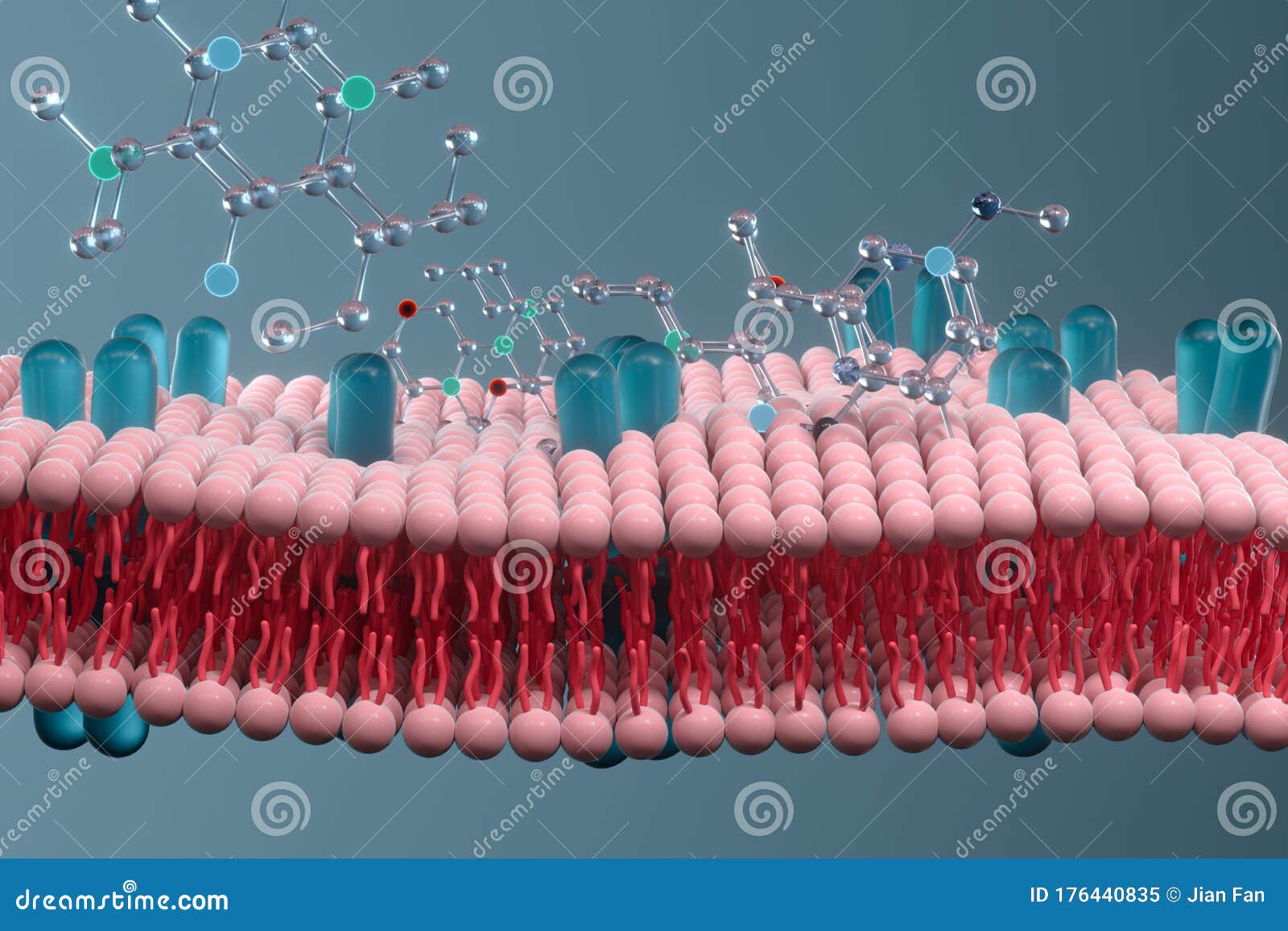 Cell Membrane and Biology, Biological Concept, 3d Rendering Stock ...
