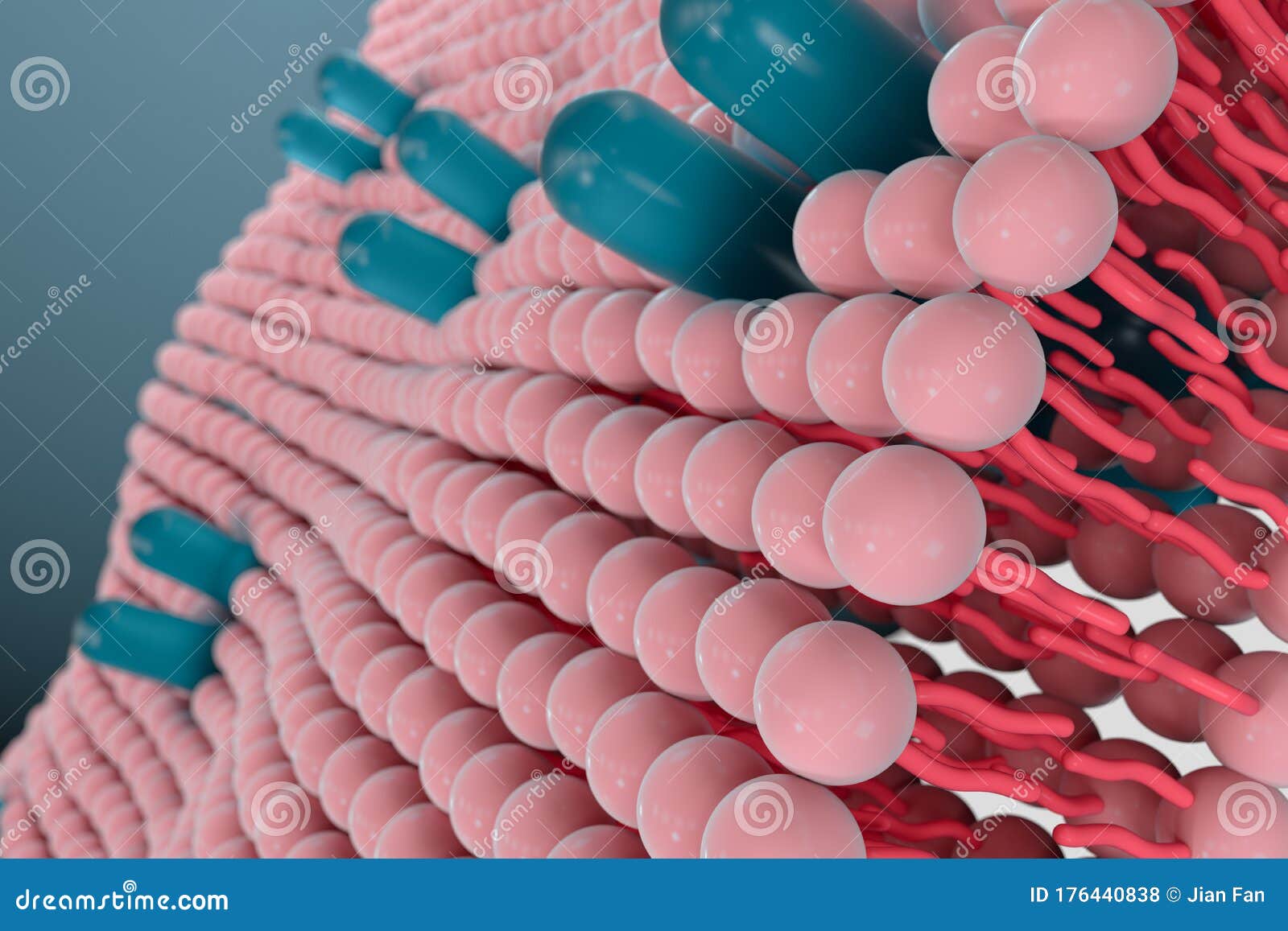 Cell Membrane and Biology, Biological Concept, 3d Rendering Stock ...