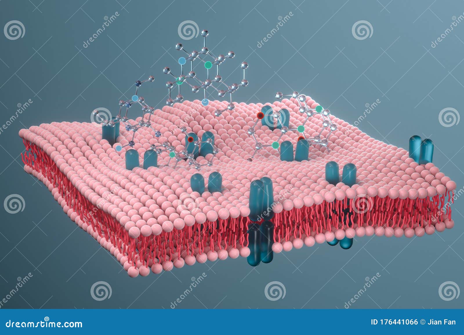 Cell Membrane and Biology, Biological Concept, 3d Rendering Stock ...
