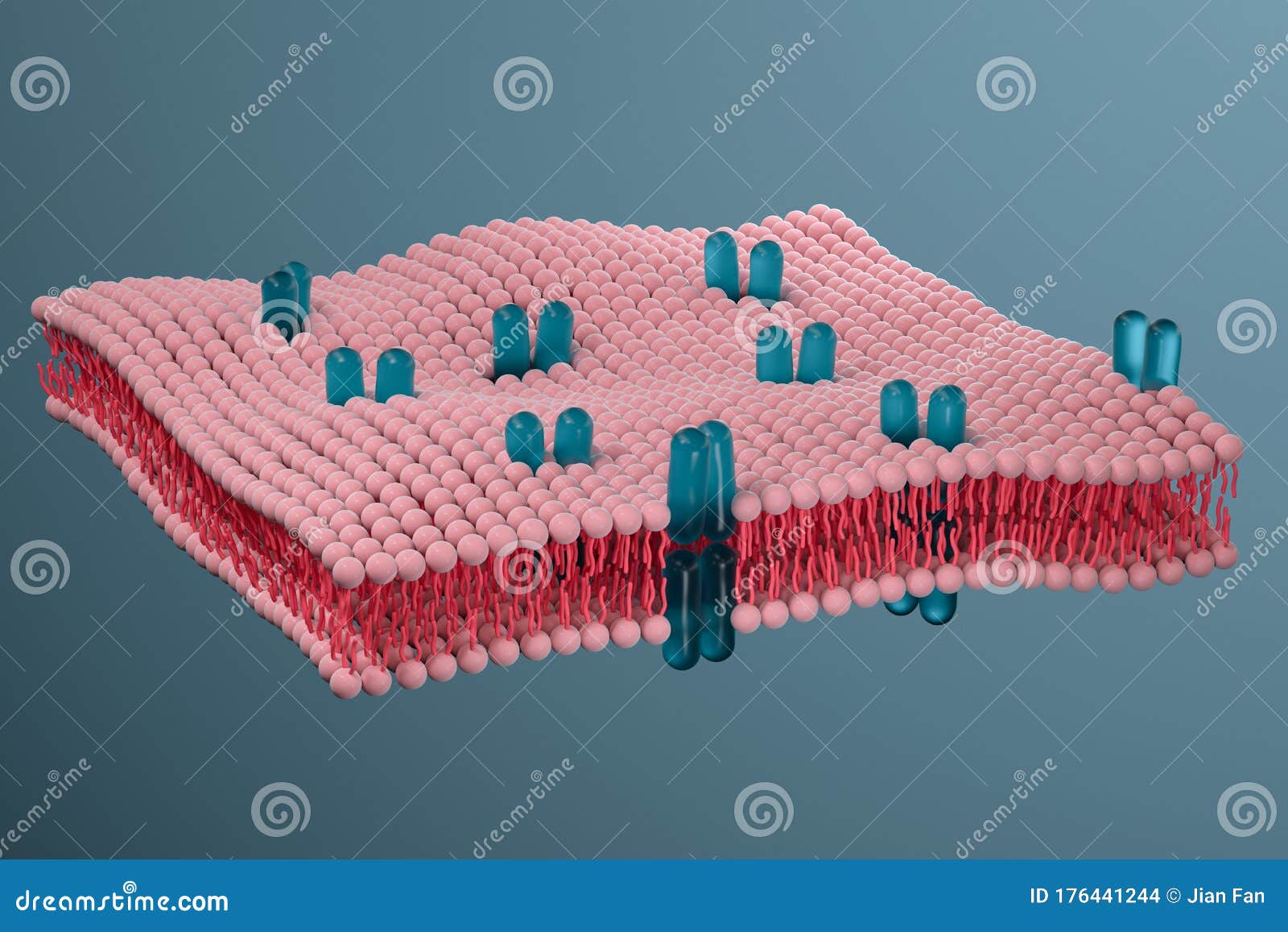 Cell Membrane and Biology, Biological Concept, 3d Rendering Stock ...