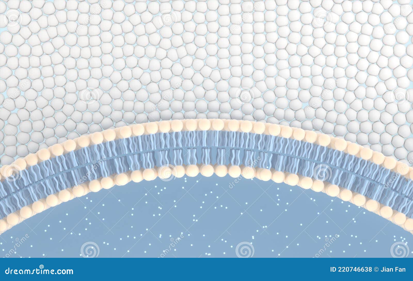 Cell Membrane with Blue Background, 3d Rendering Stock Illustration ...