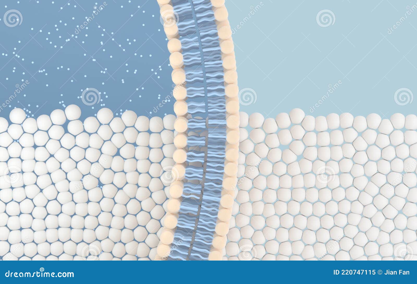 Cell Membrane with Blue Background, 3d Rendering Stock Illustration ...