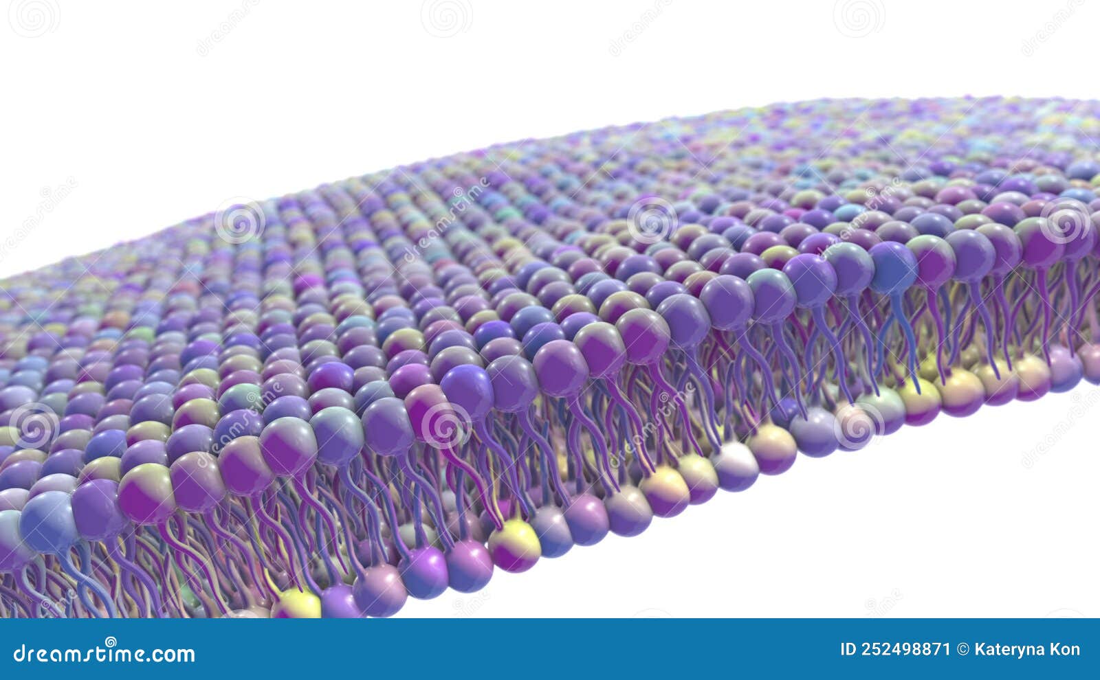 Cell Membrane, 3D Illustration Stock Illustration - Illustration of ...