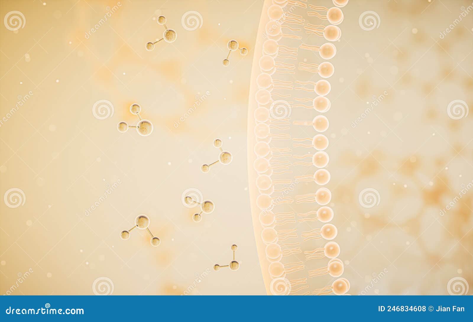 Cell Membrane with Yellow Background, 3d Rendering Stock Illustration ...