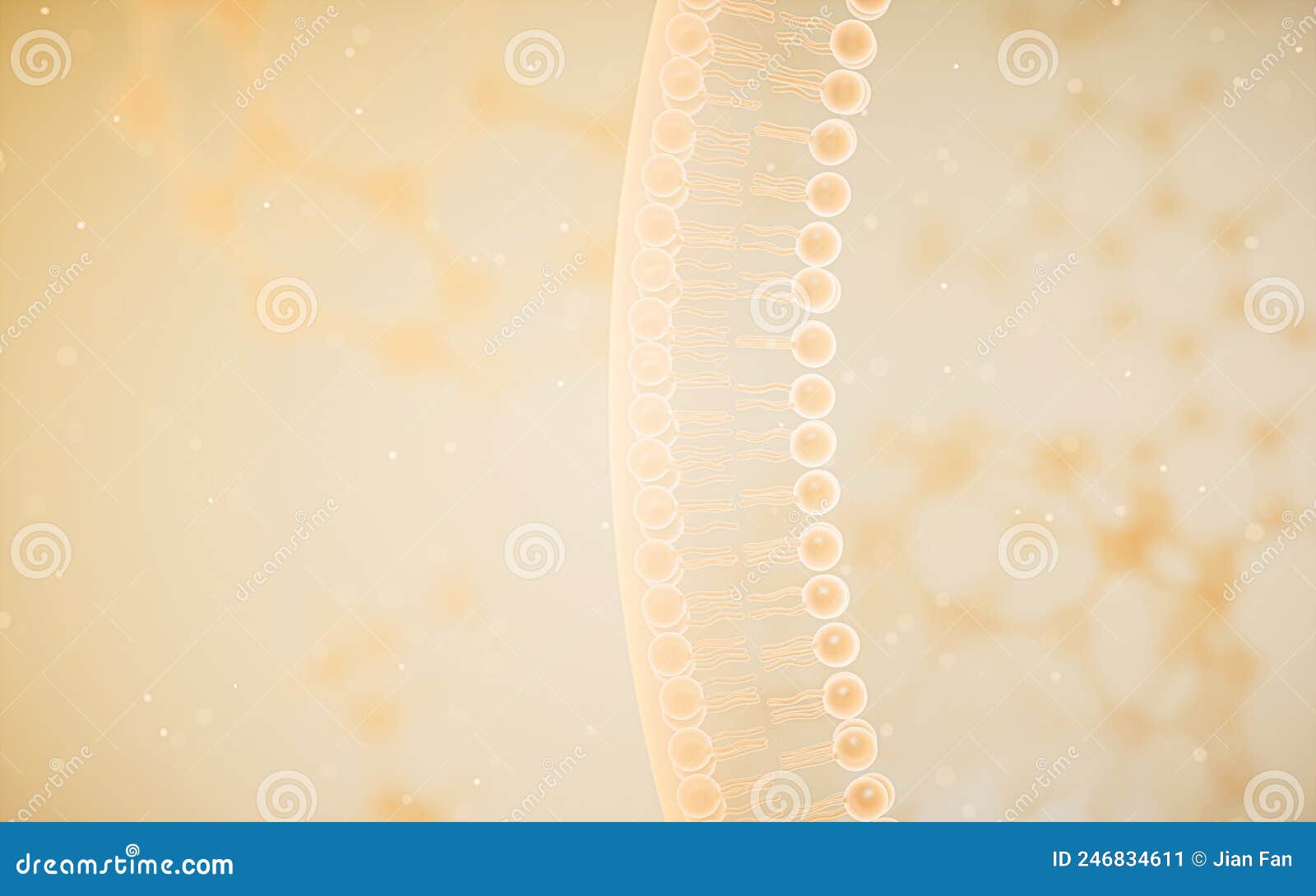 Cell Membrane with Yellow Background, 3d Rendering Stock Illustration ...