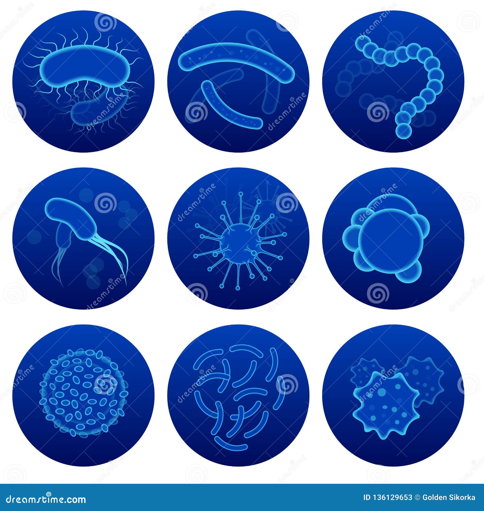 Cell, Microscopic Macro Cell, Bacteria, Virus. Set of Micro-organisms ...