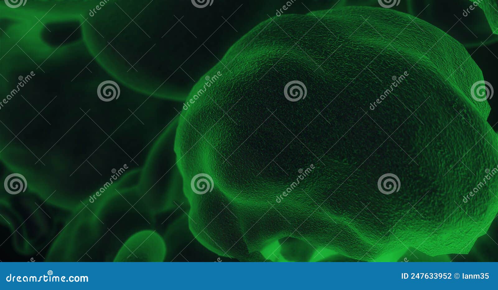 Cell Moving in Human Tissue, Microscopic View Stock Illustration ...
