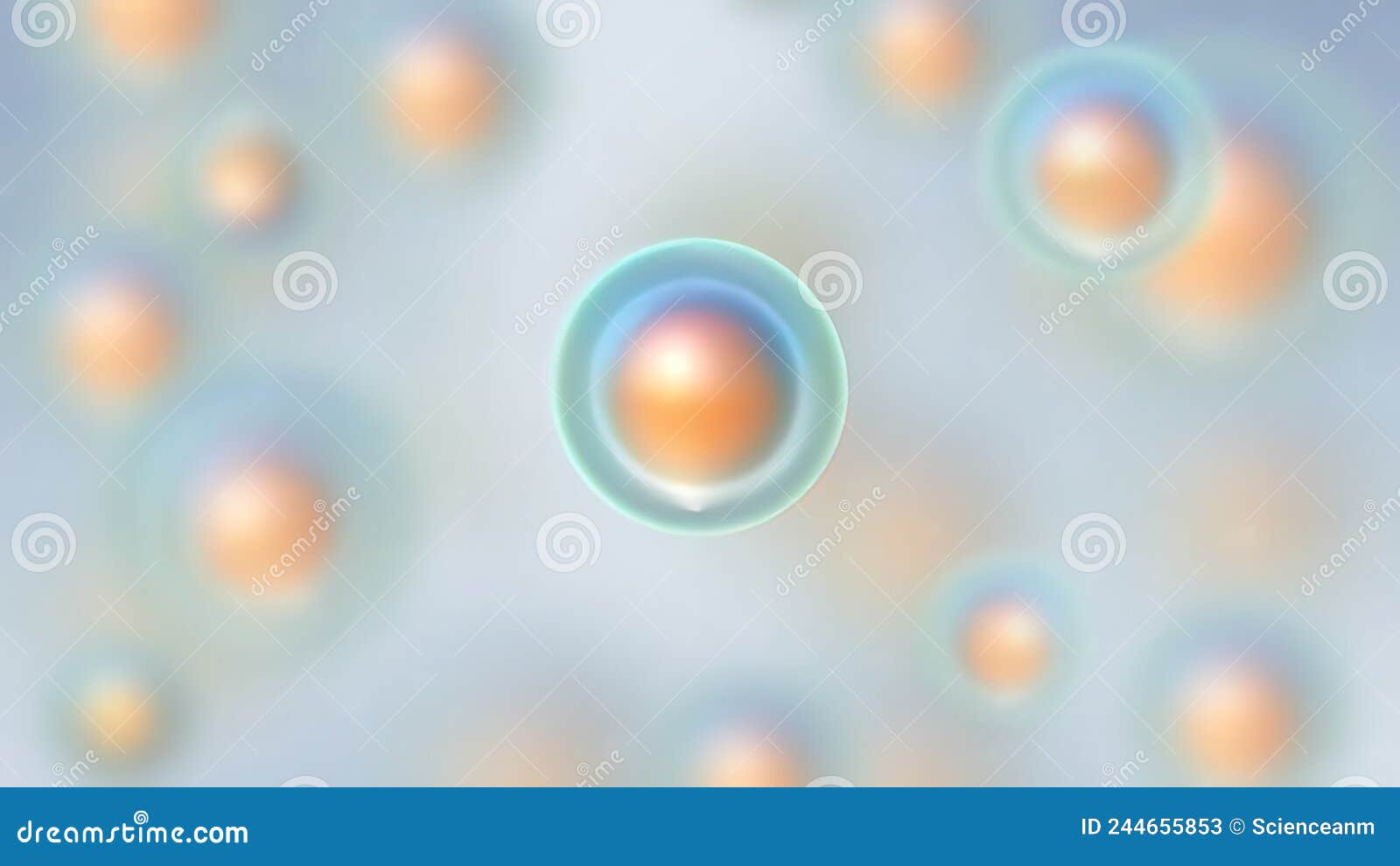 Cells Undergoing Mitosis, the Process of Cell Division and ...