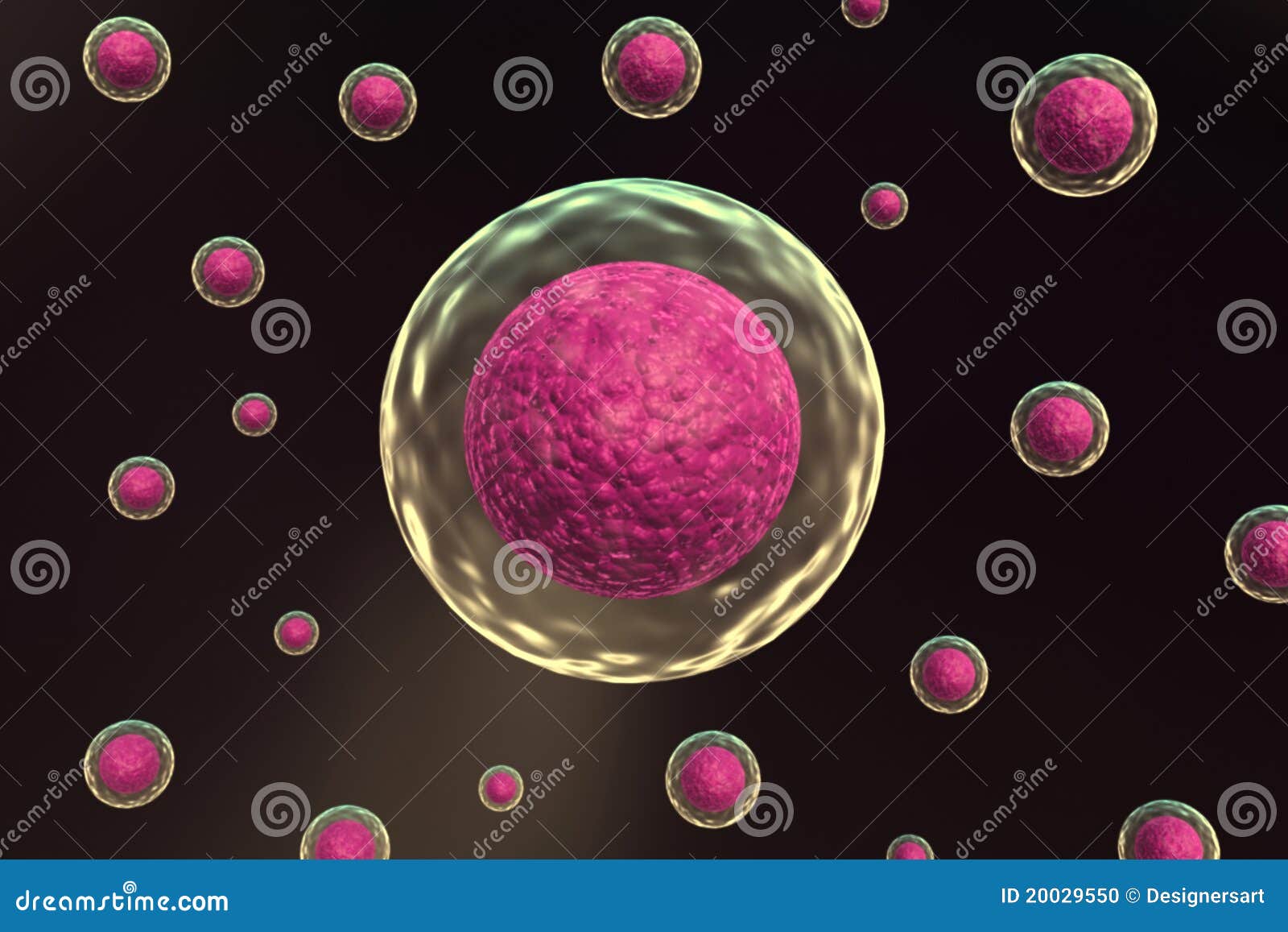 Cell with nucleus stock illustration. Illustration of illness - 20029550