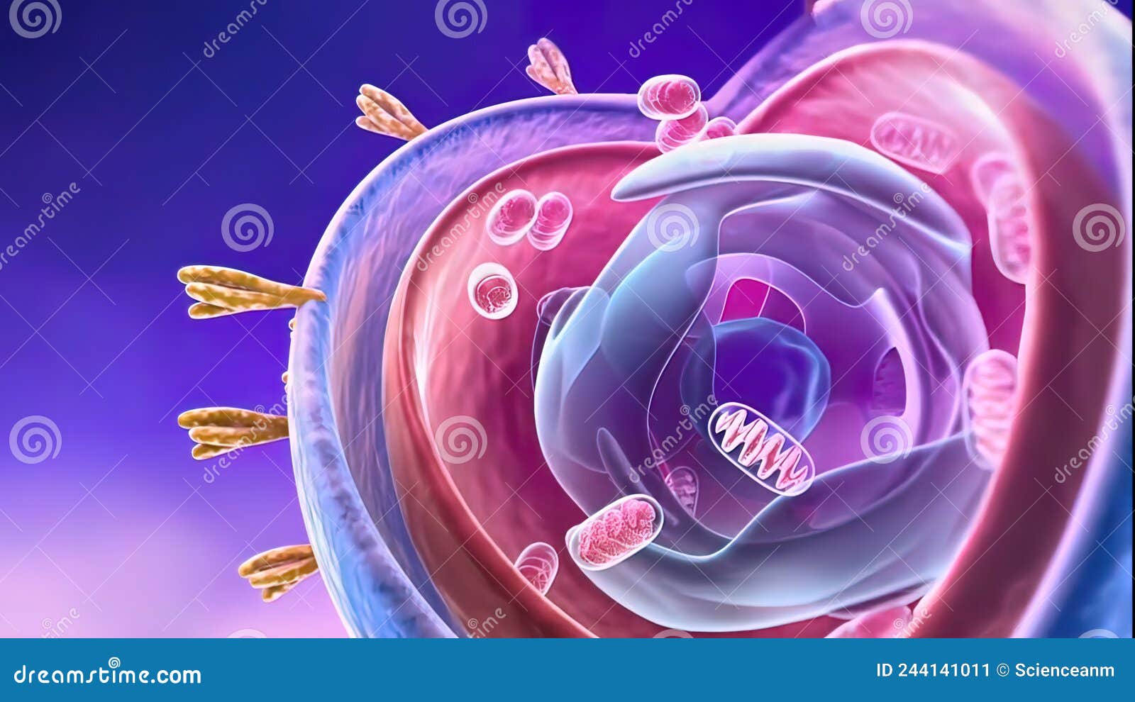 Cell Nucleus and Protein 3d Stock Illustration - Illustration of ...