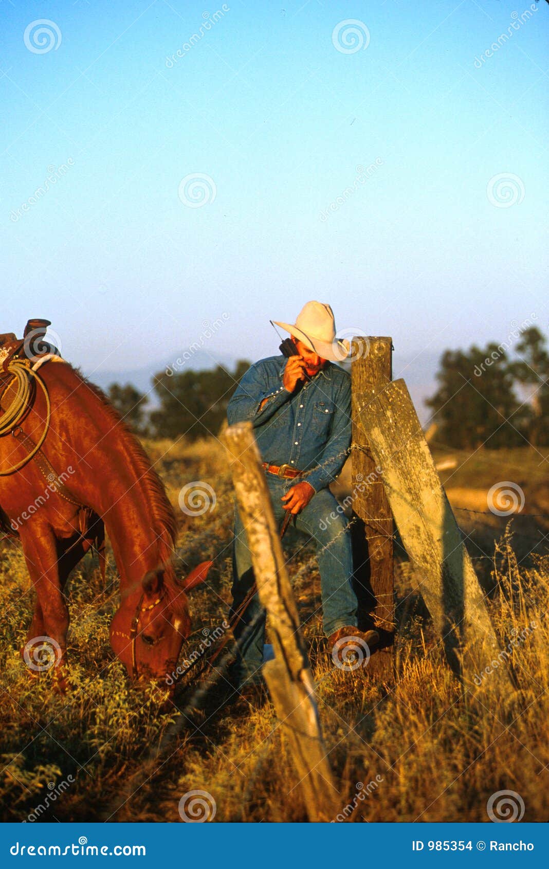 Cell phone cowboy stock photo. Image of cellphone, mobile - 985354