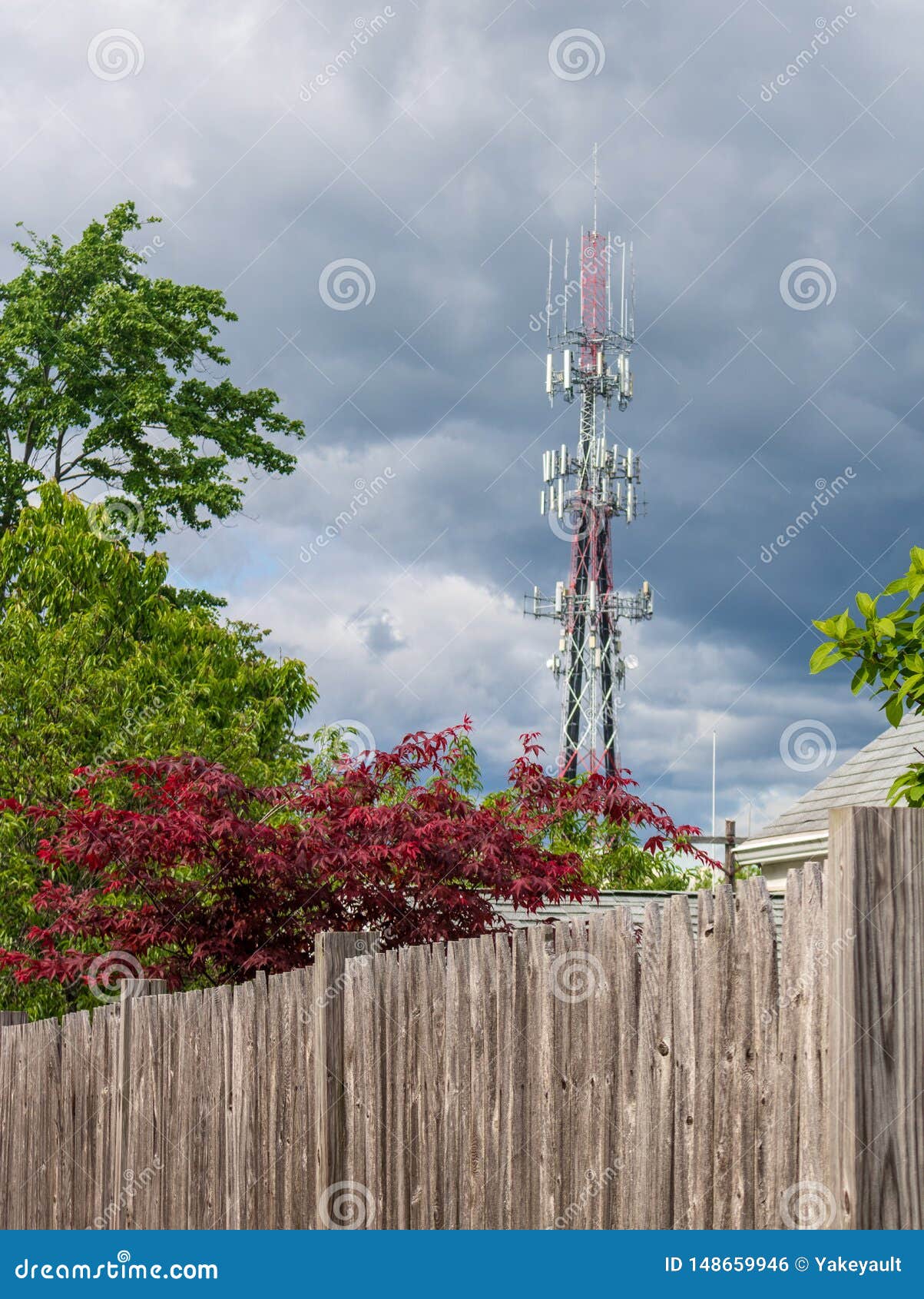 Cell Phone Tower Framed by Trees Stock Photo - Image of outdoor, green ...
