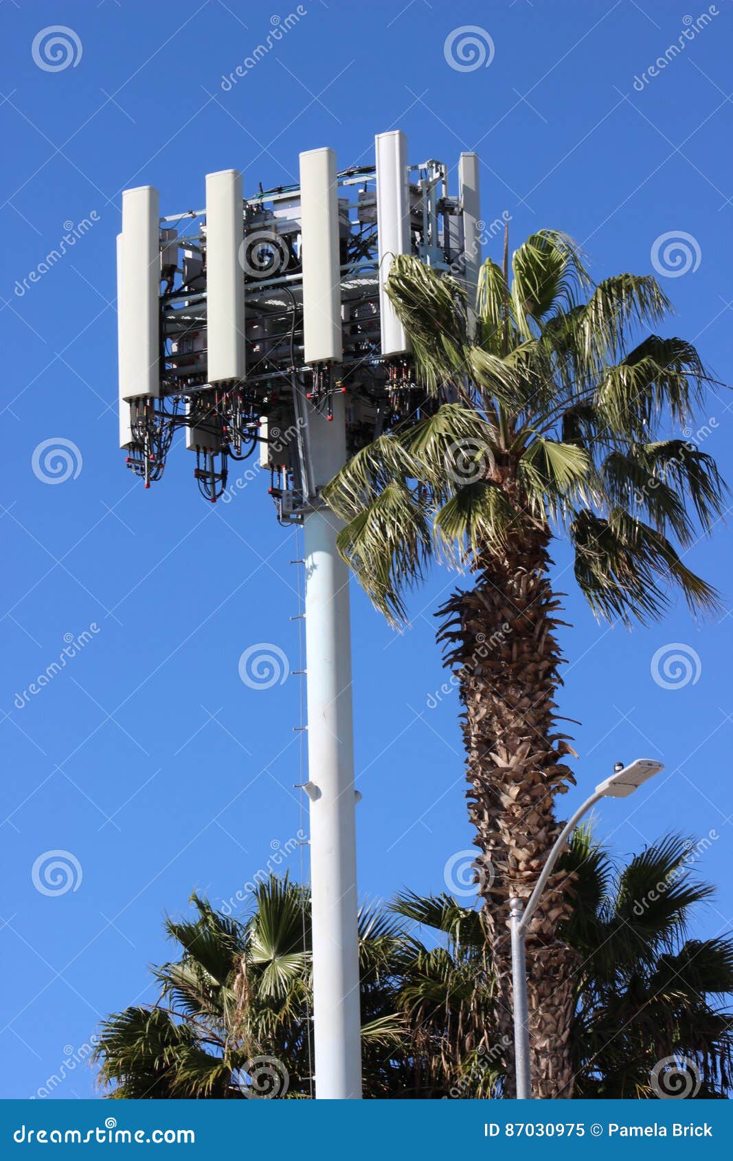 Cell Phone Tower Obstructs Palm Tree Editorial Image - Image of ...