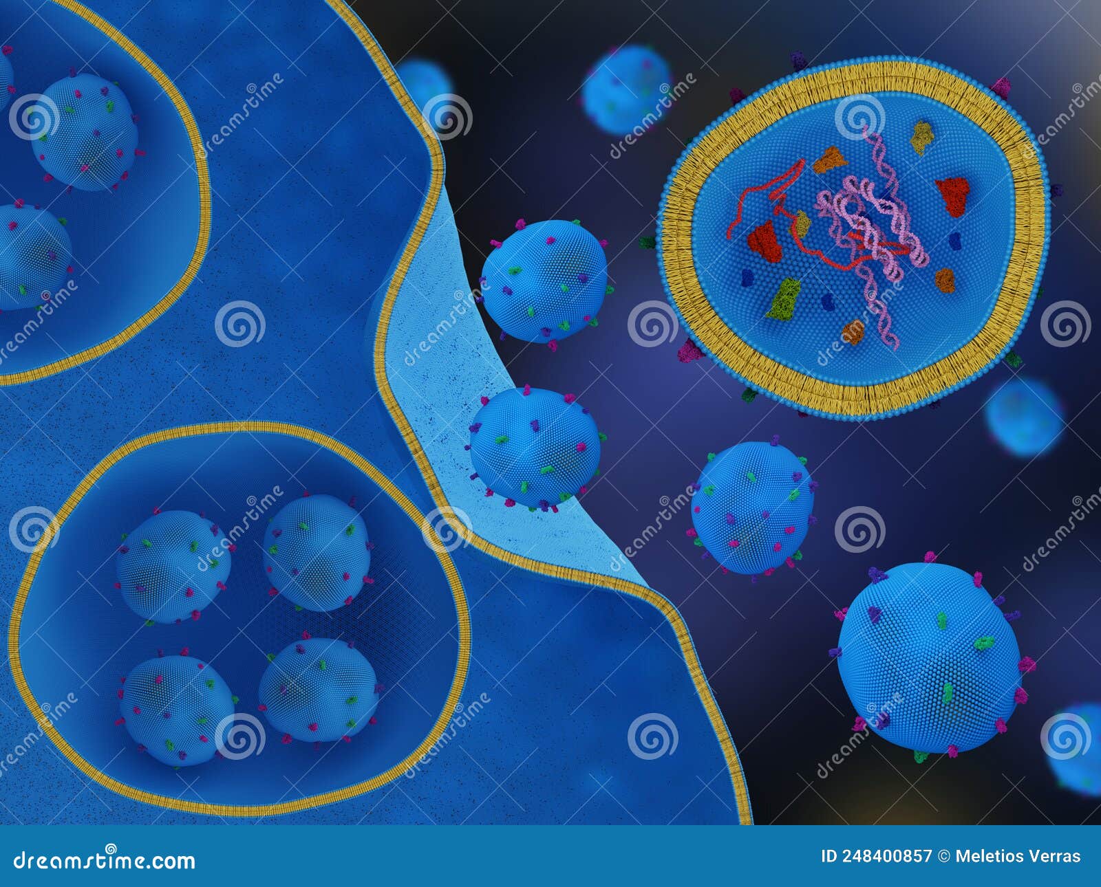 Exosomes Cartoons, Illustrations & Vector Stock Images - 822 Pictures ...