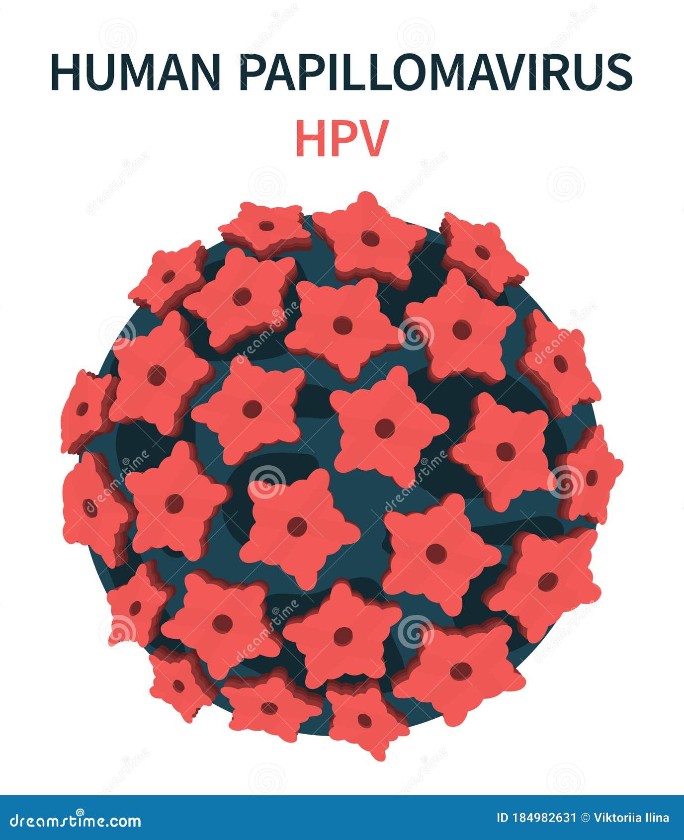 Cell Structure of the Human Papillomavirus HPV Stock Vector ...