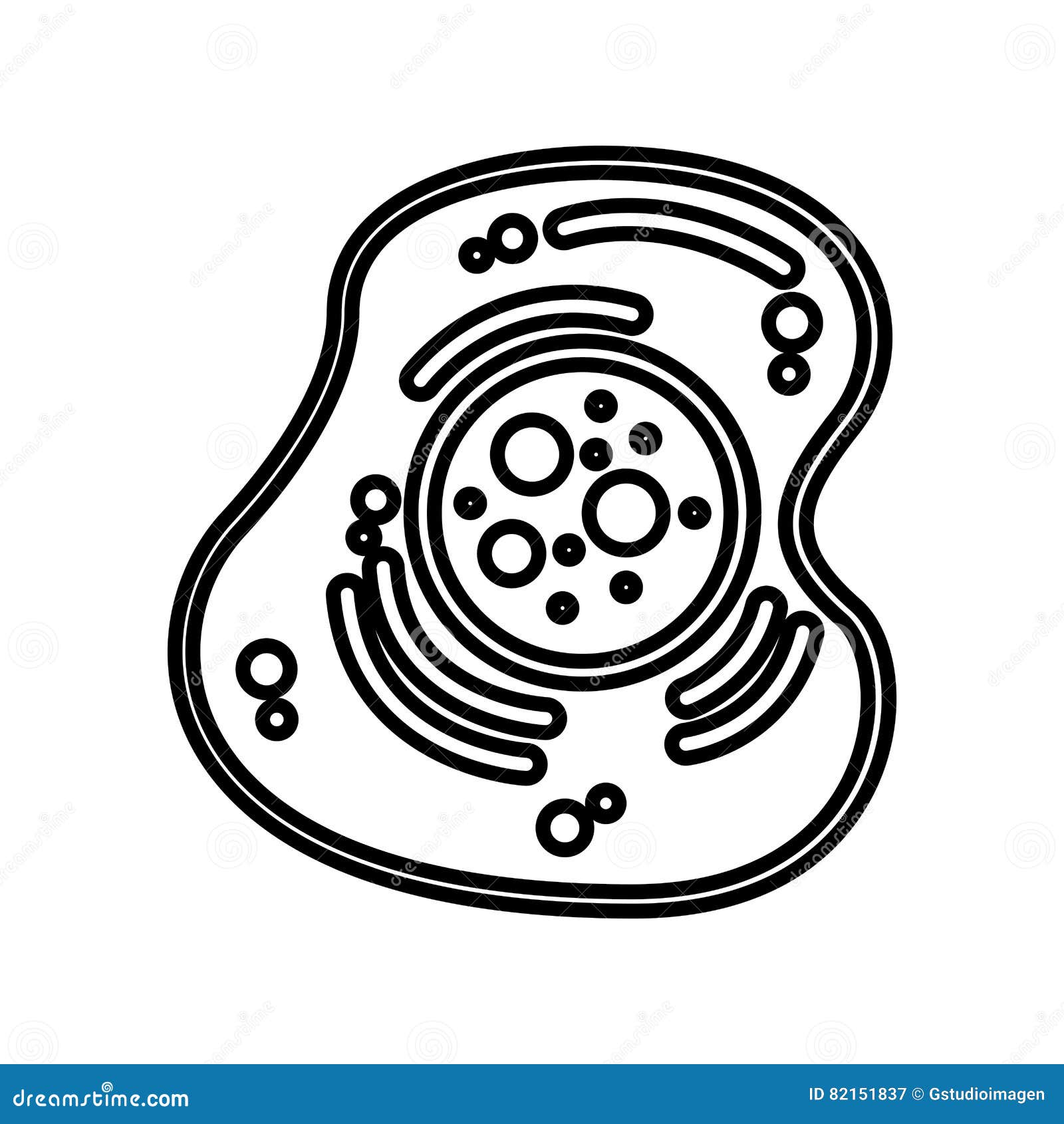 Cell Structure Isolated Icon Stock Illustration - Illustration of ...