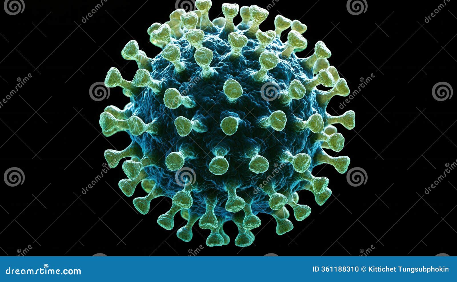 Cell Structure with a Smaller Cell Enclosed within Another Cell in ...