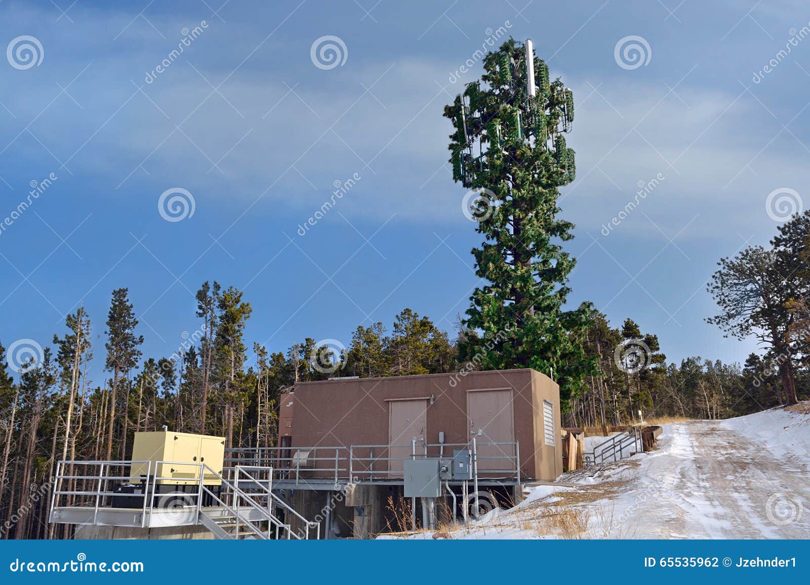 Cell Tower Disguised As a Tree Stock Photo - Image of technology, cloud ...