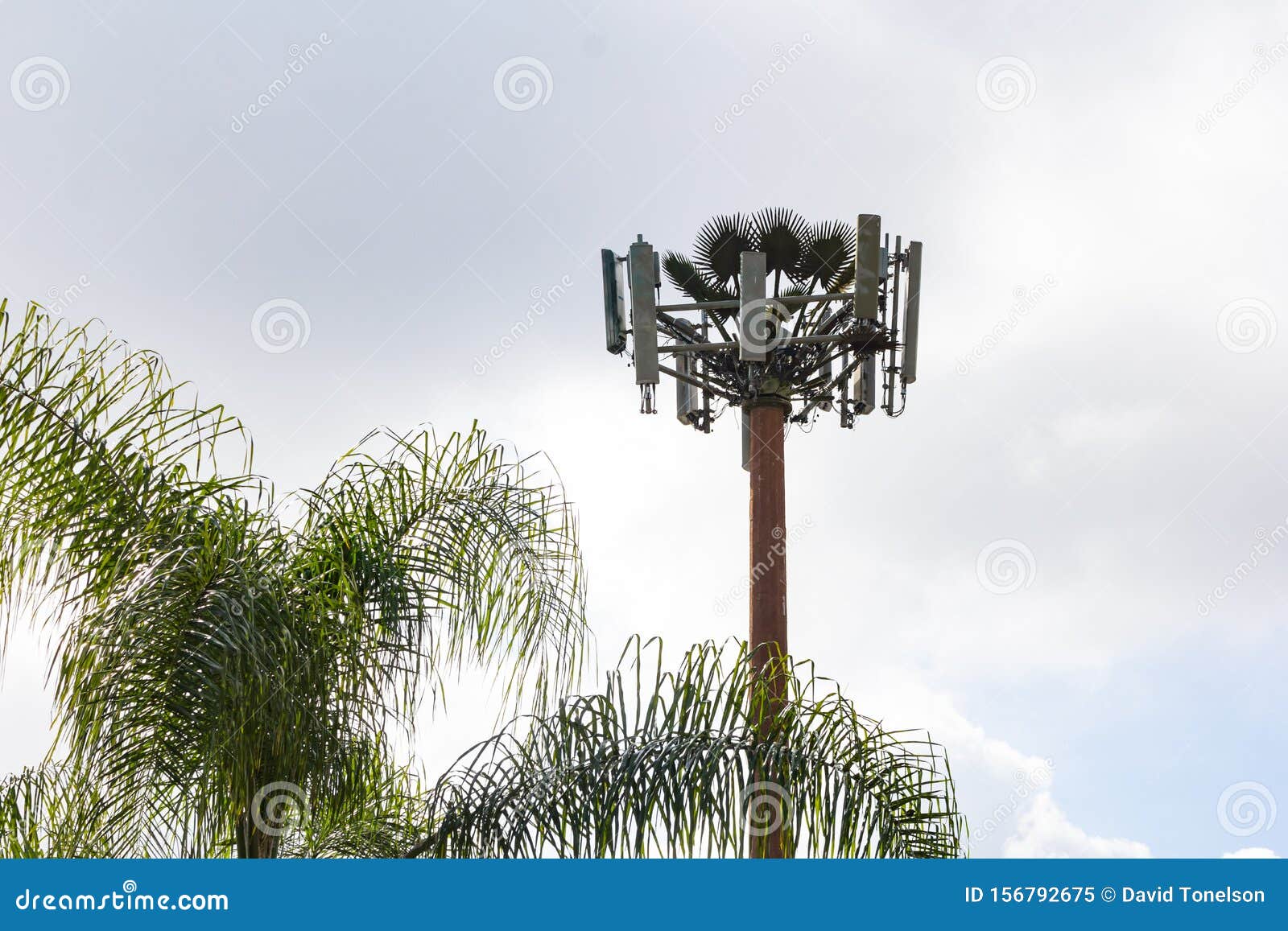 Cell Tower Disguised As a Tree Stock Image - Image of platform, cell ...
