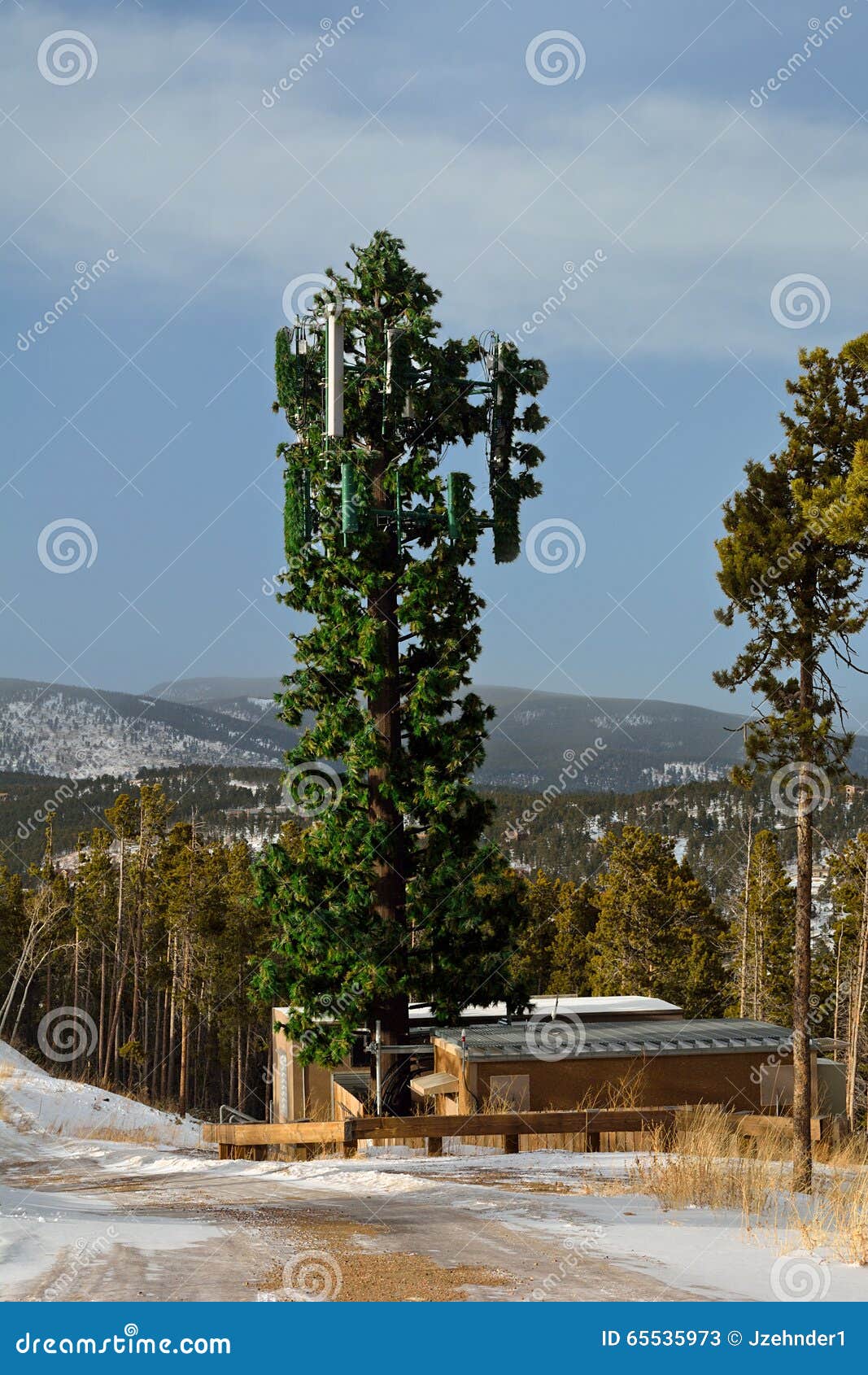 Cell Tower Disguised As a Tree Stock Image - Image of cell, creative ...