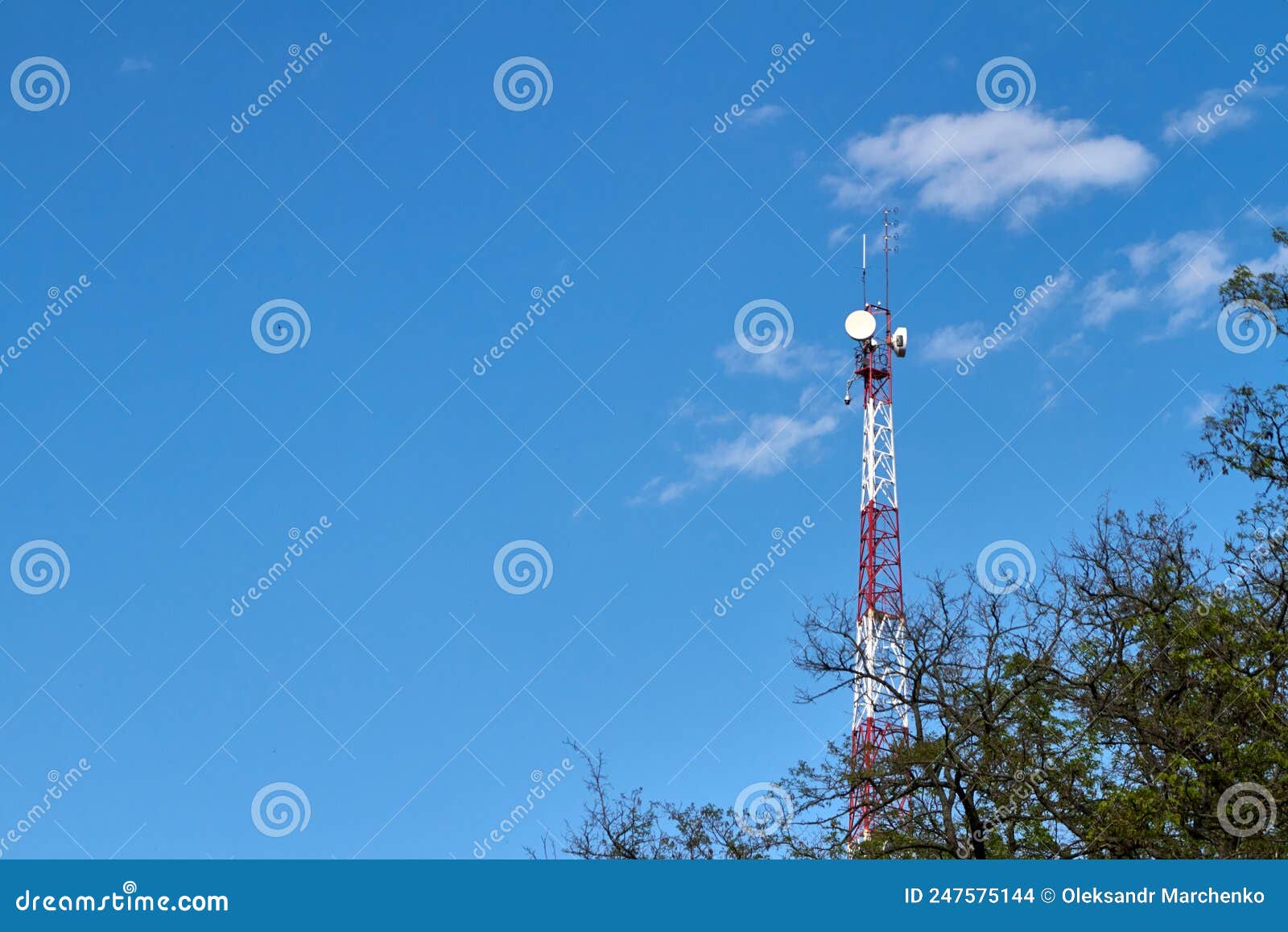 Cell Tower Rises Above the Trees, Telecommunications Tower Stock Photo ...