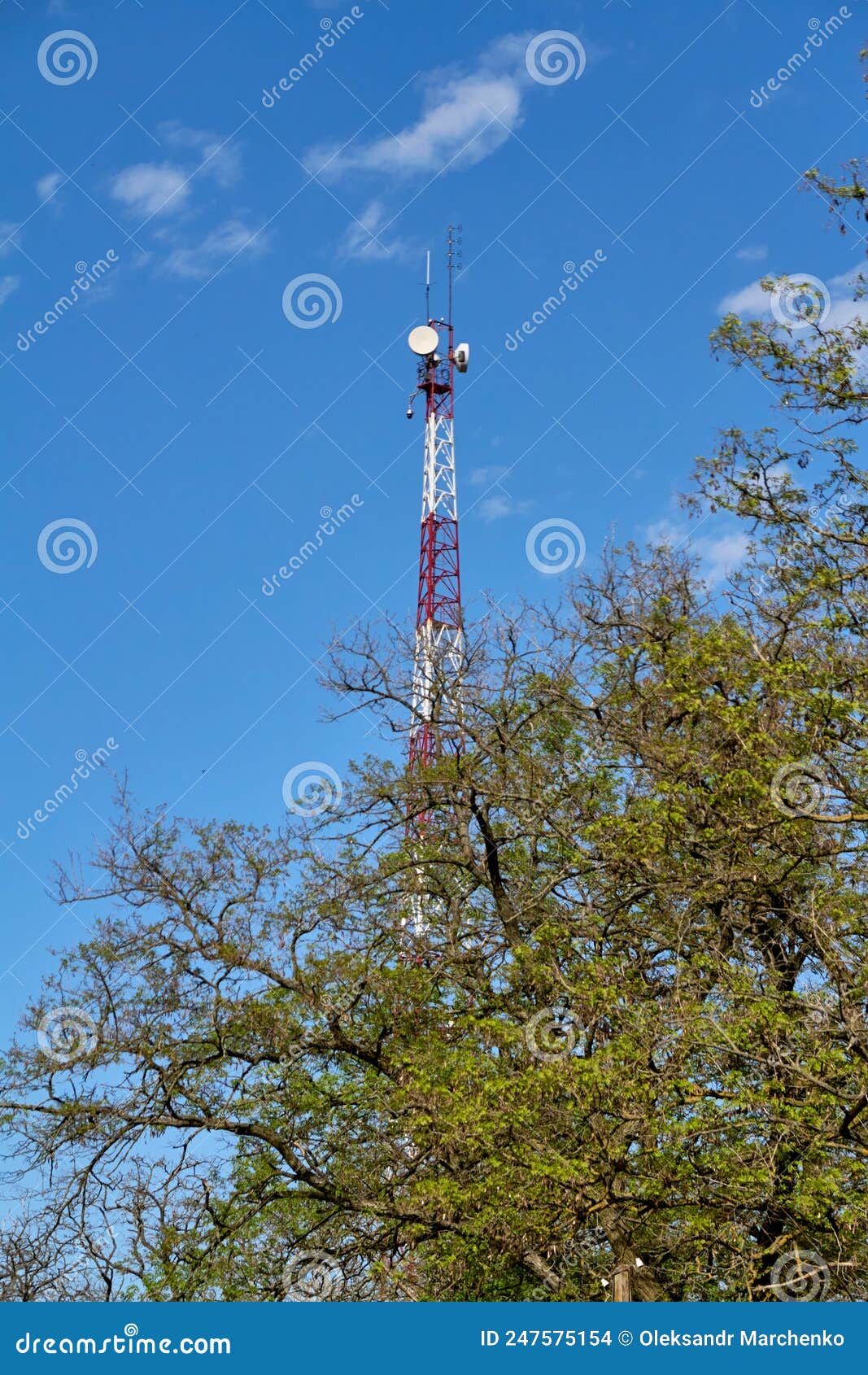 Cell Tower Towering Above the Trees, Telecommunications Tower, Vertical ...