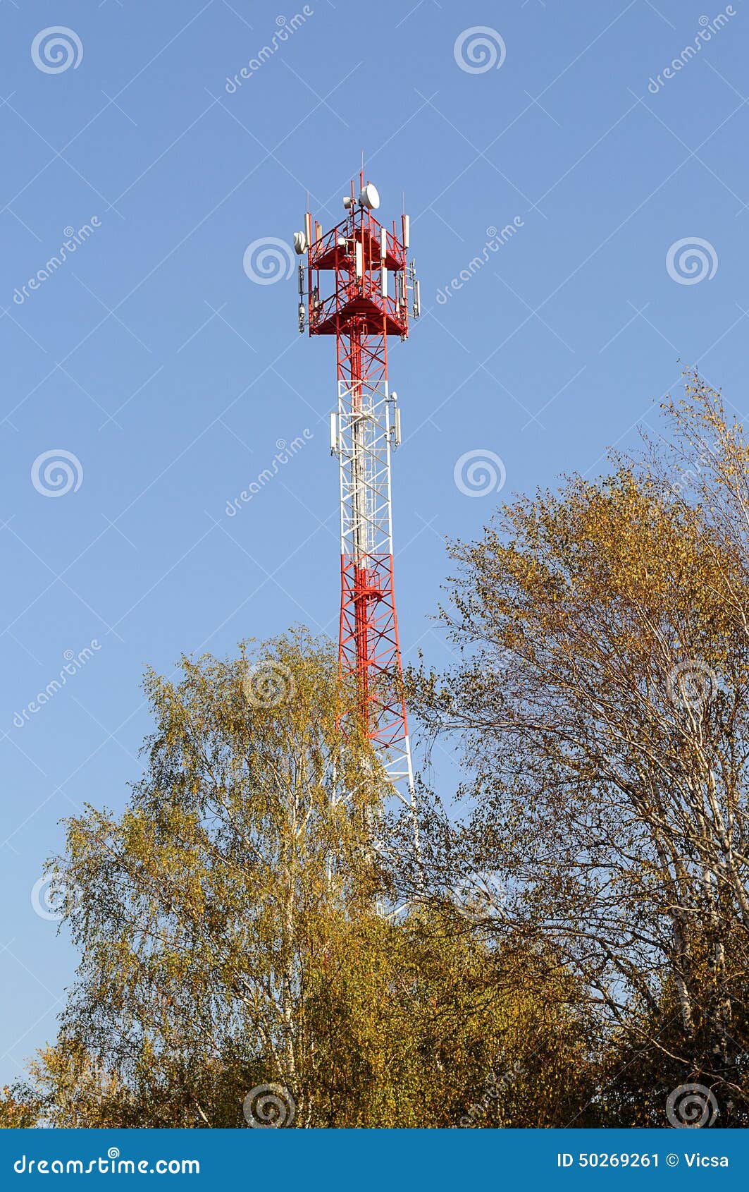 Cell tower among the trees stock image. Image of cell - 50269261