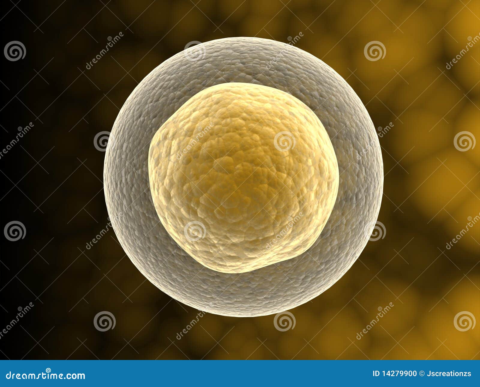 CELLA CON IL NUCLEO illustrazione di stock. Illustrazione di estratto ...