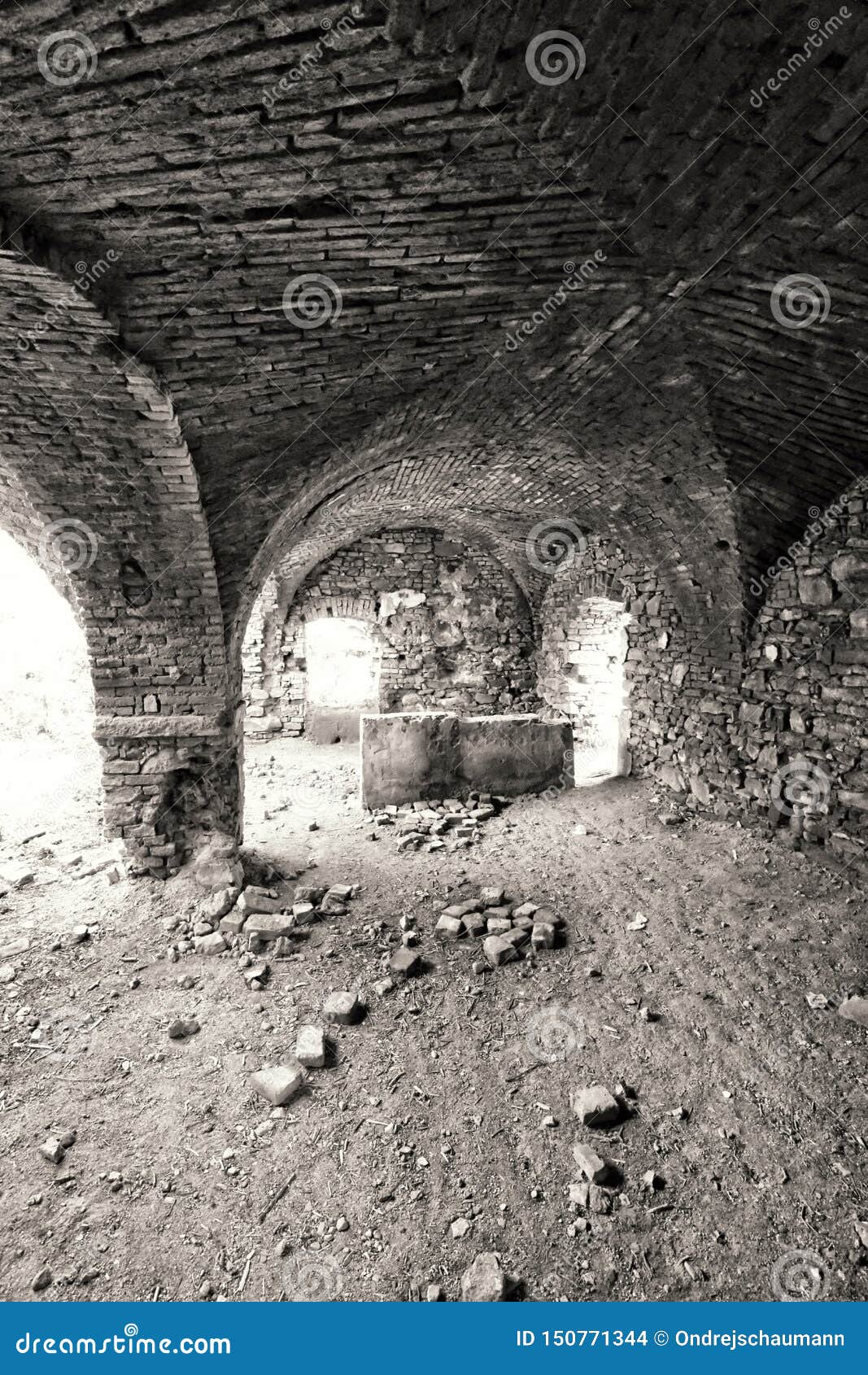 Cellar of Abandoned Broken Cellar with Bricks on Floor Black and White ...