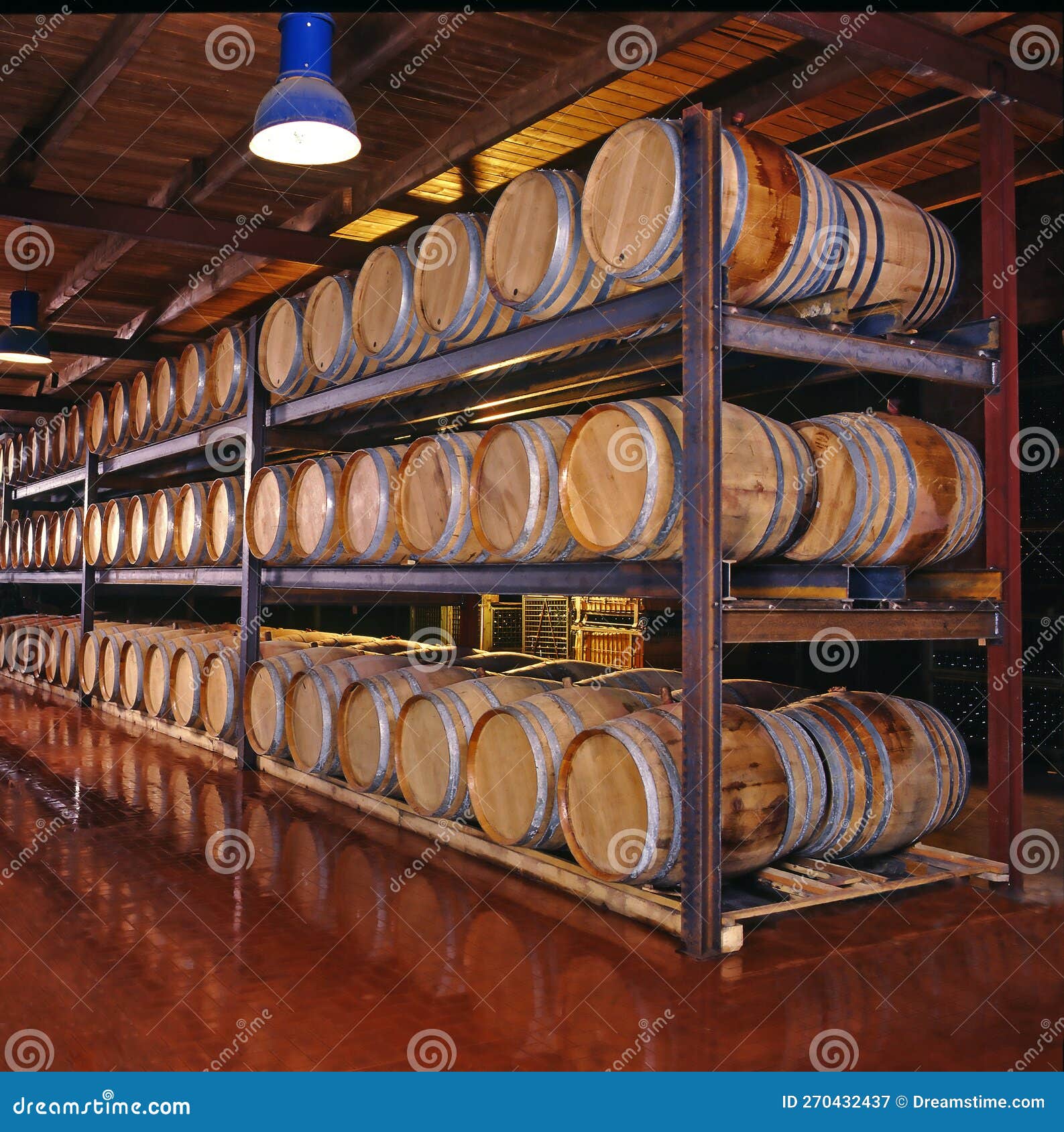 Cellar with Barrels. Rows of Old Barrels Stock Image - Image of store ...
