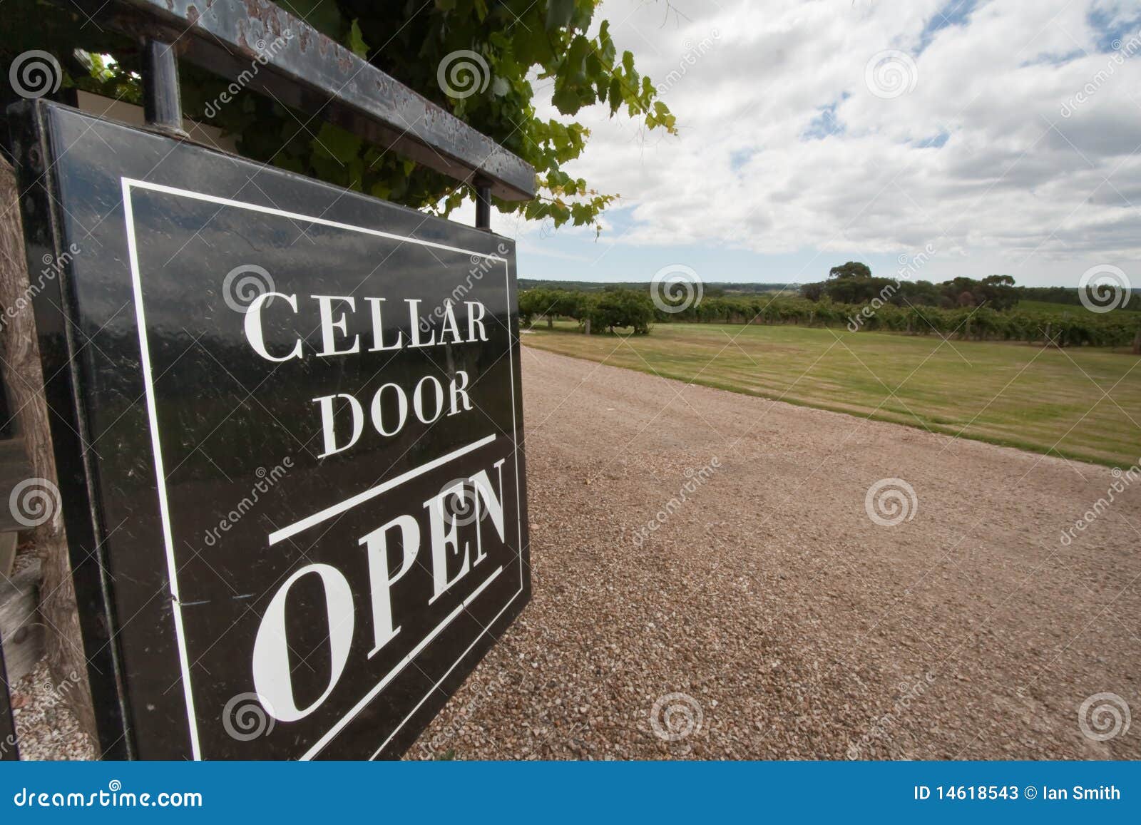 Cellar Door stock image. Image of gravel, shiraz, merlot - 14618543