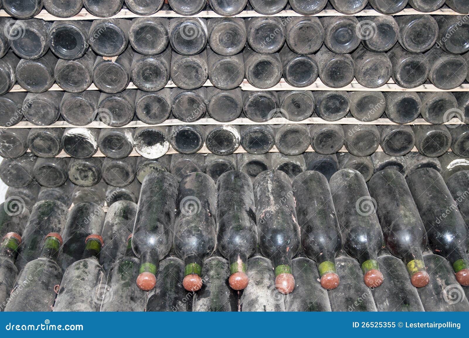 Cellars with wine bottles stock image. Image of barrel - 26525355