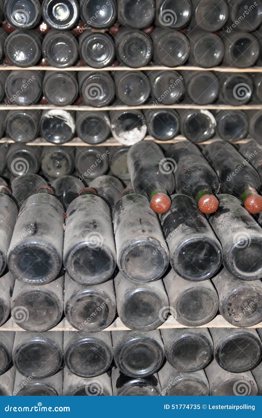 Cellars with wine bottles stock image. Image of cork - 51774735