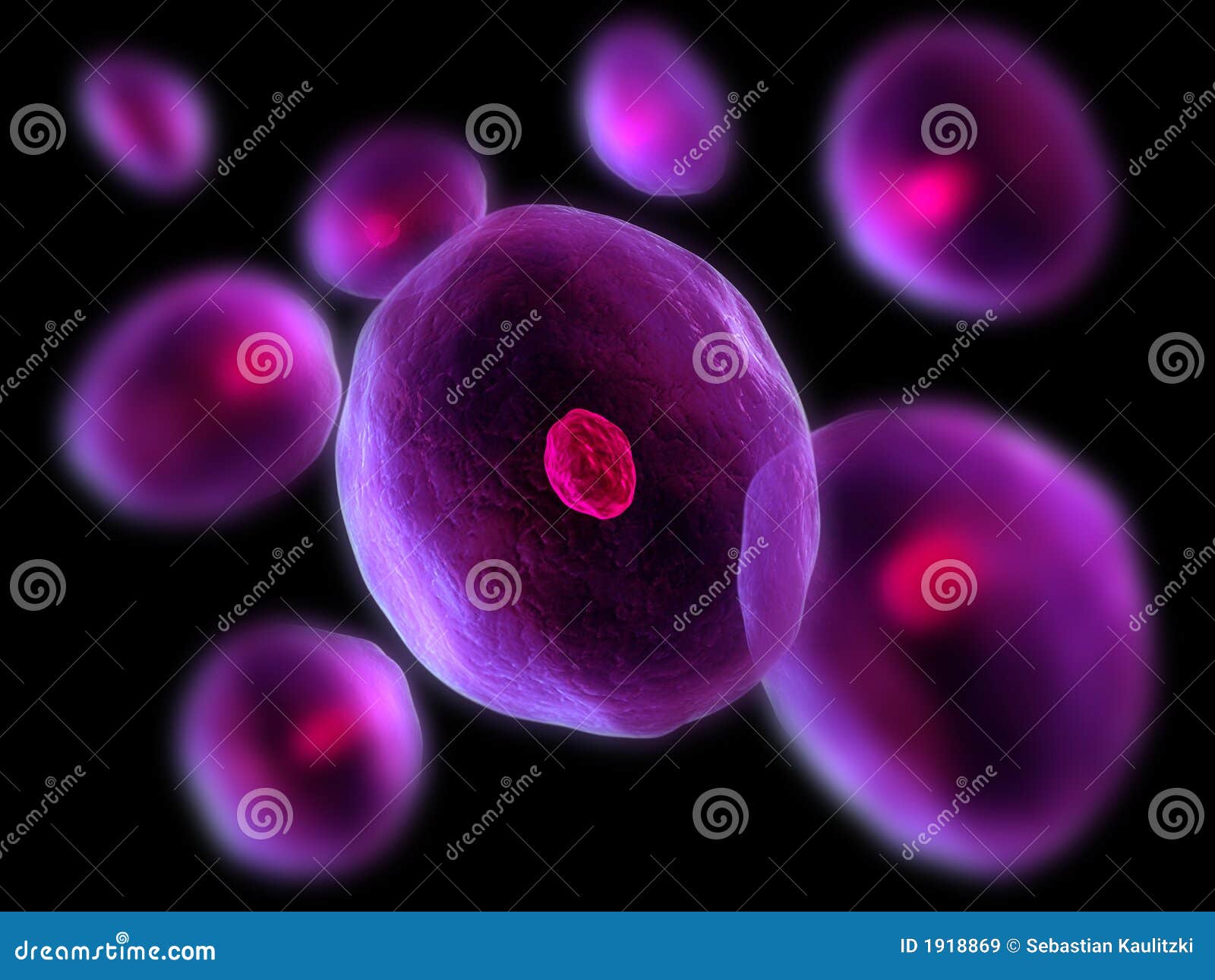 Cellen stock illustratie. Illustration of vergroting, schaal - 1918869