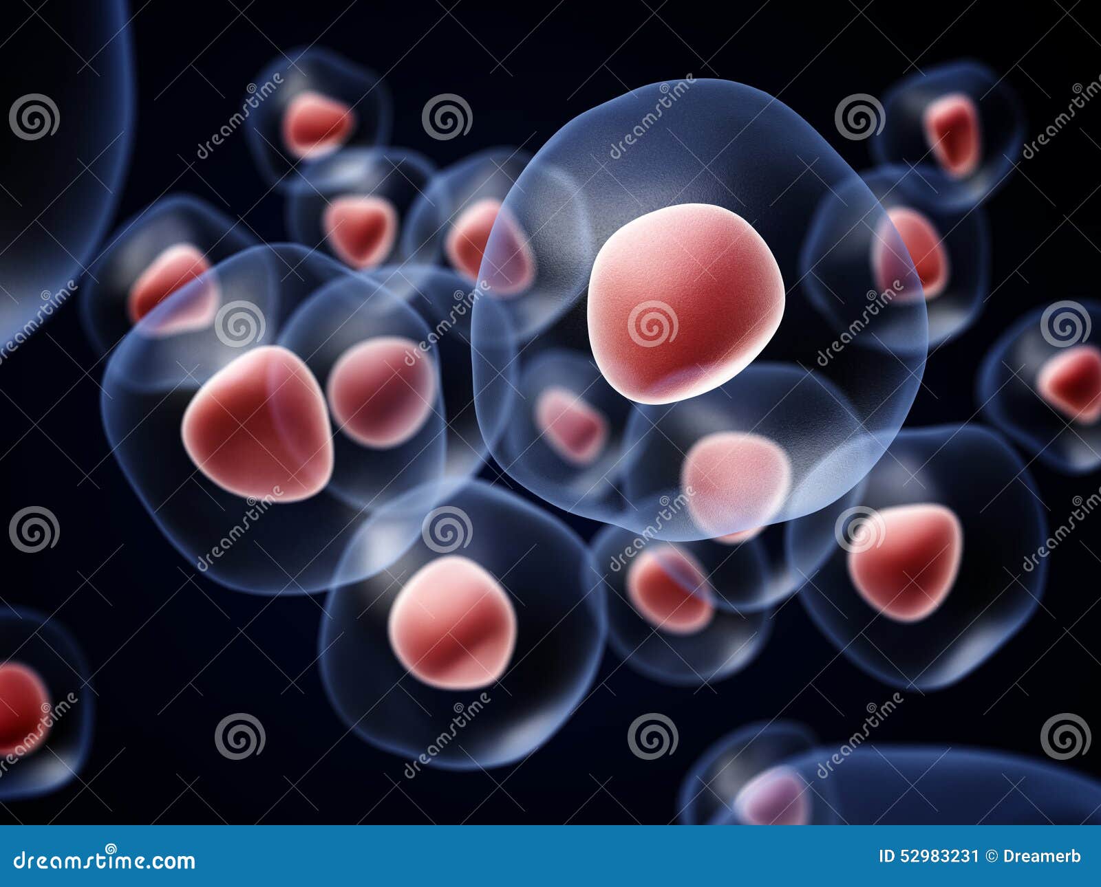 Cellen stock illustratie. Illustration of biotechnologie - 52983231