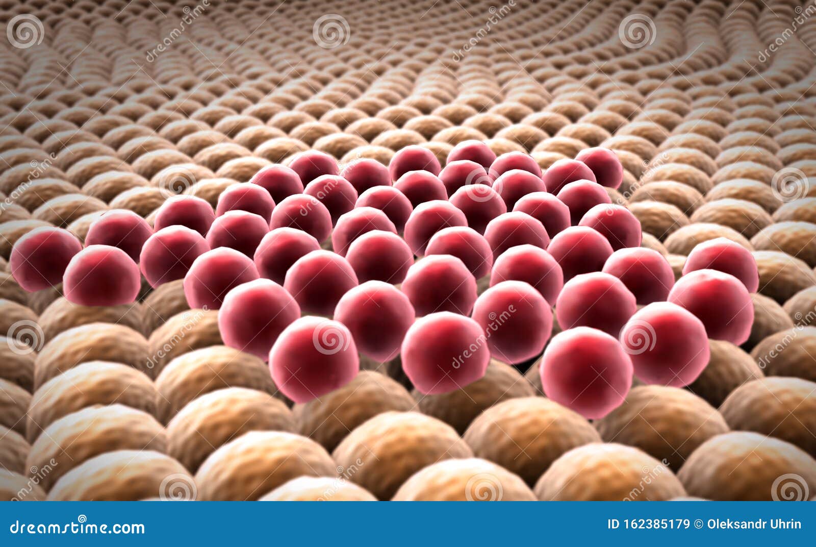 Cellen en kankercellen stock illustratie. Illustration of ...