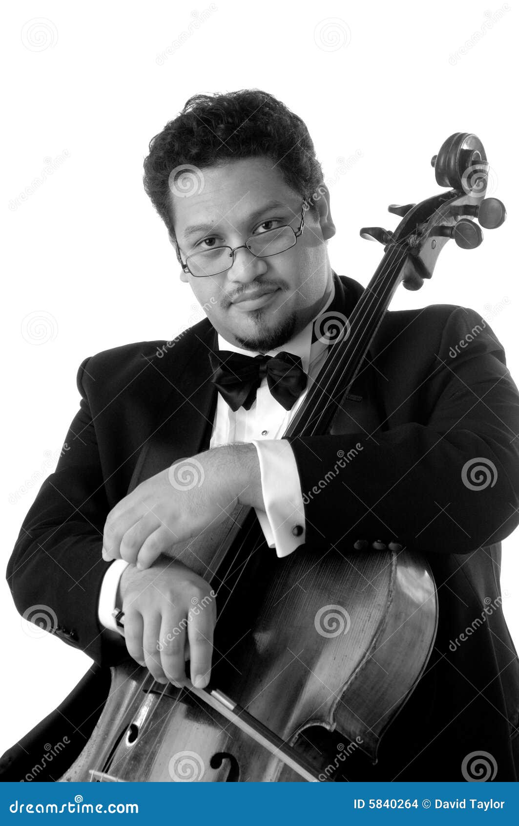 The Cellist stock photo. Image of celloist, music, chamber - 5840264