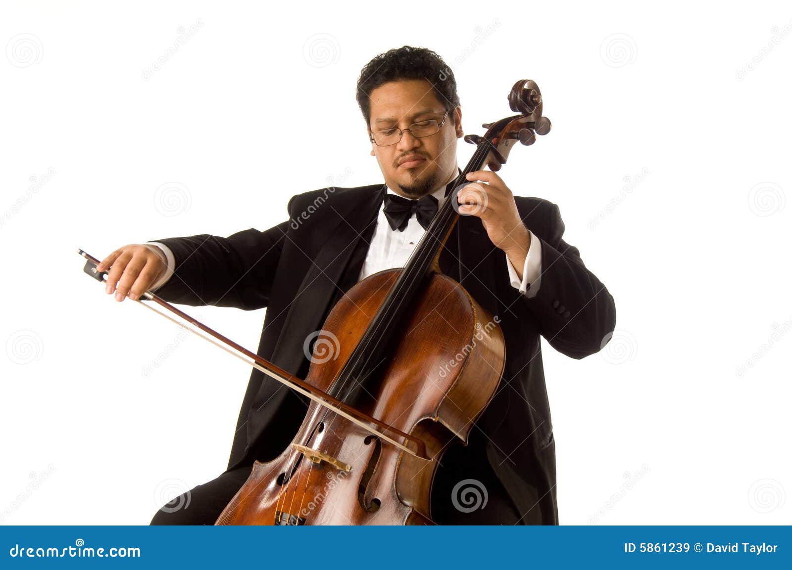 The Cellist stock image. Image of cellist, bowed, orchestra - 5861239